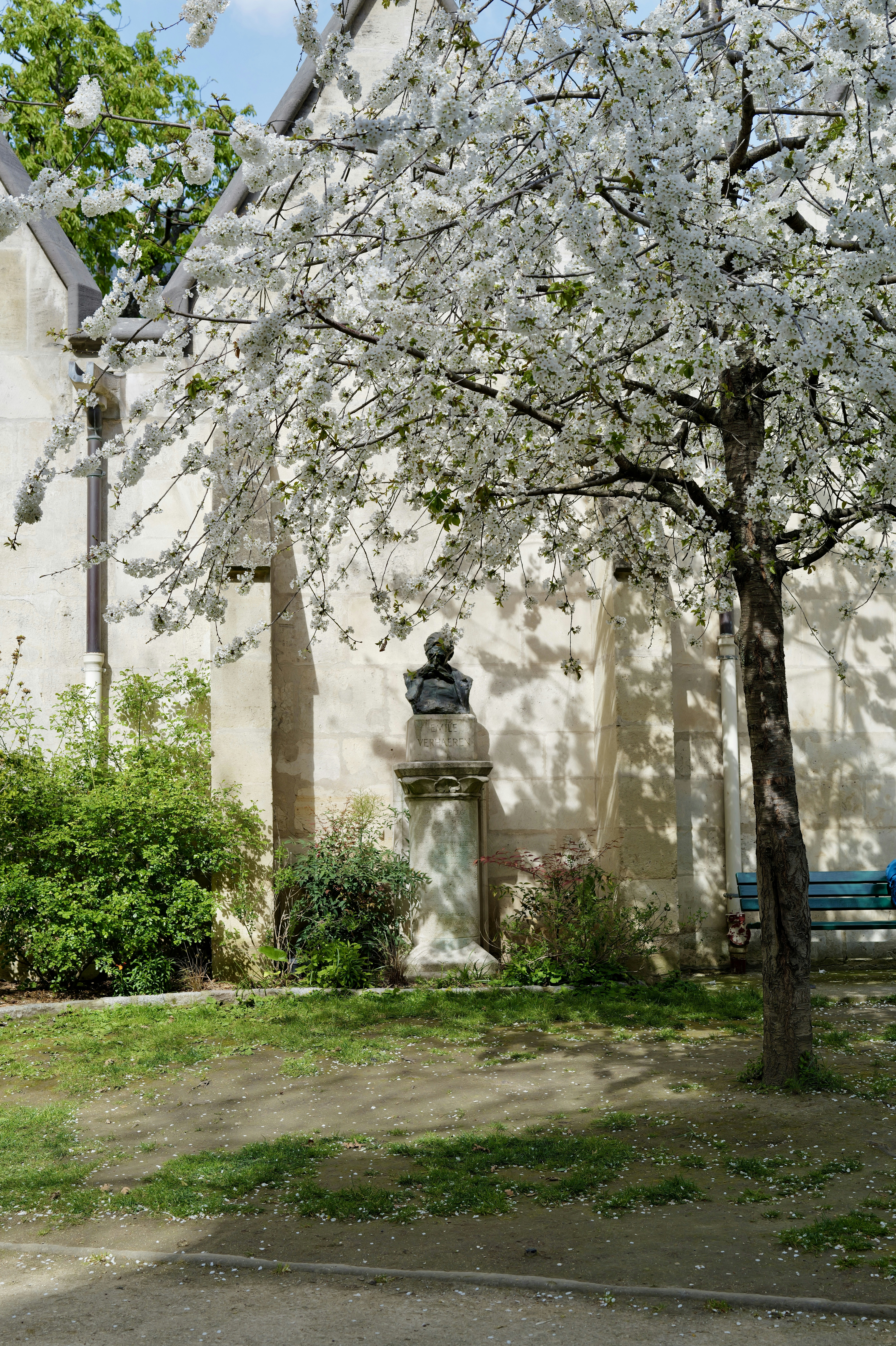 White-blossomed trees arch over a sunlit courtyard with a bronze bust statue and a blue bench nestled against a pale wall.