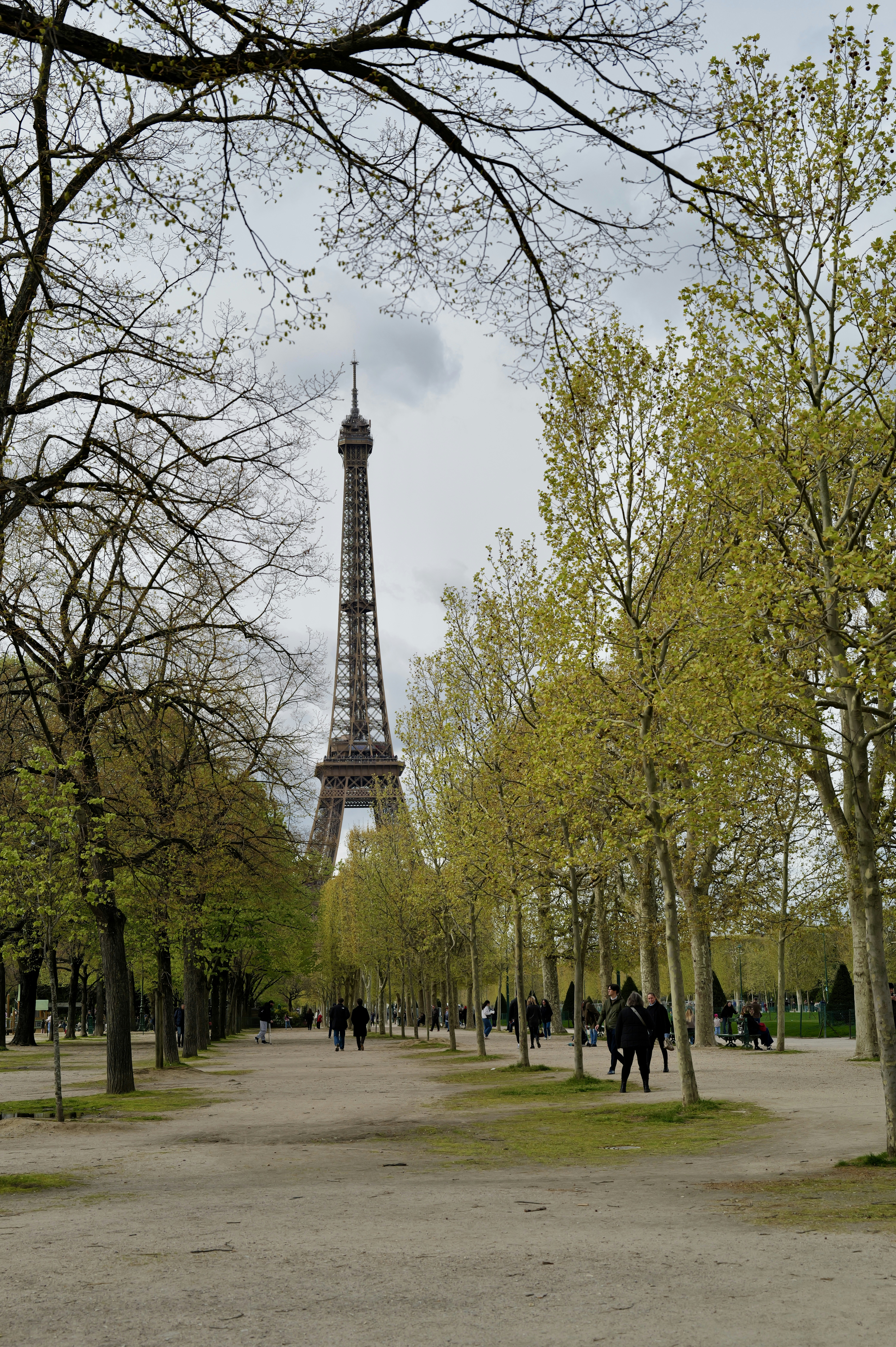 Pathway to the Eiffel Tower: A tree-lined avenue in spring