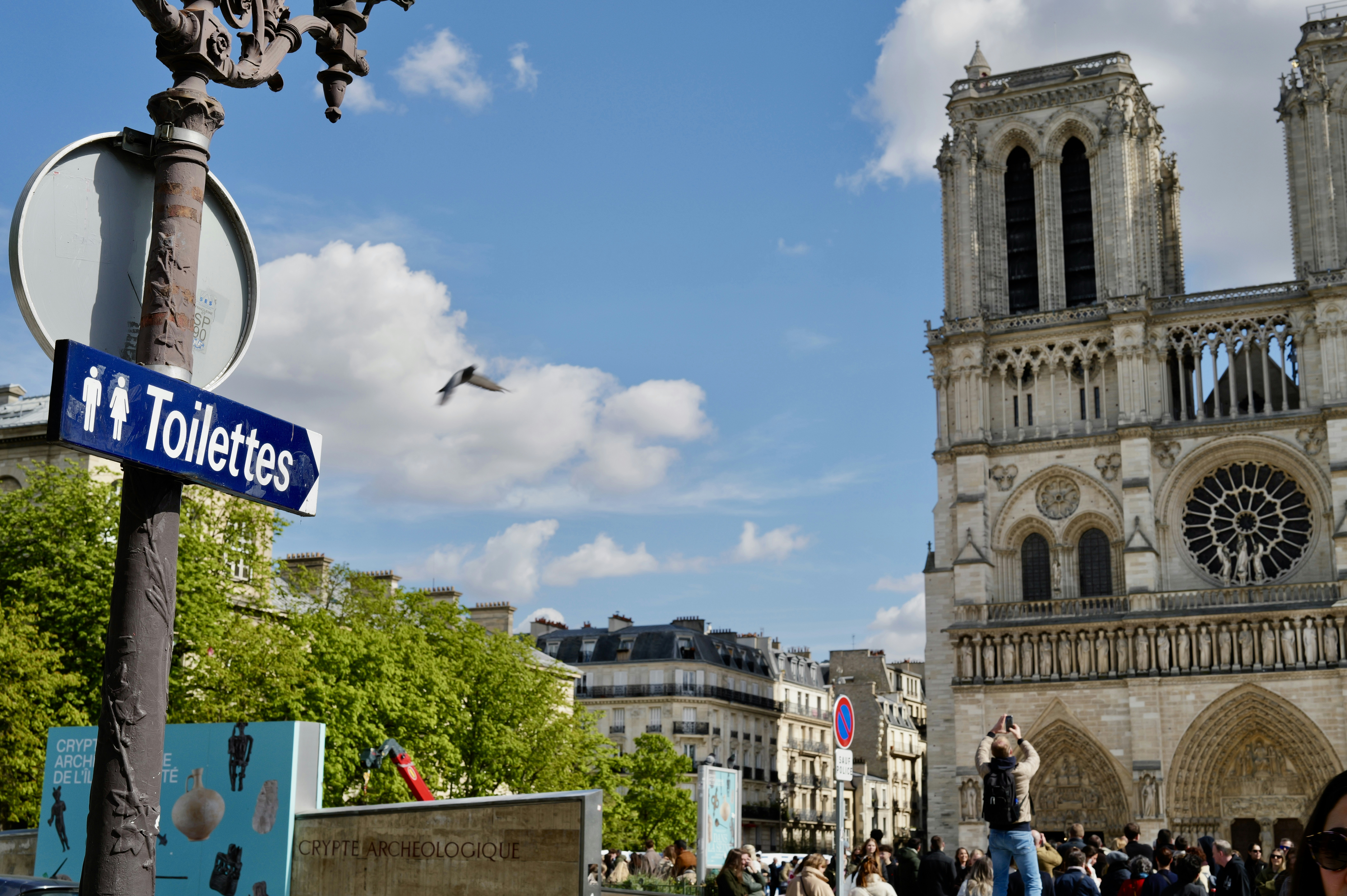Notre-Dame Courtyard: A Busy Day Under a Blue Parisian Sky