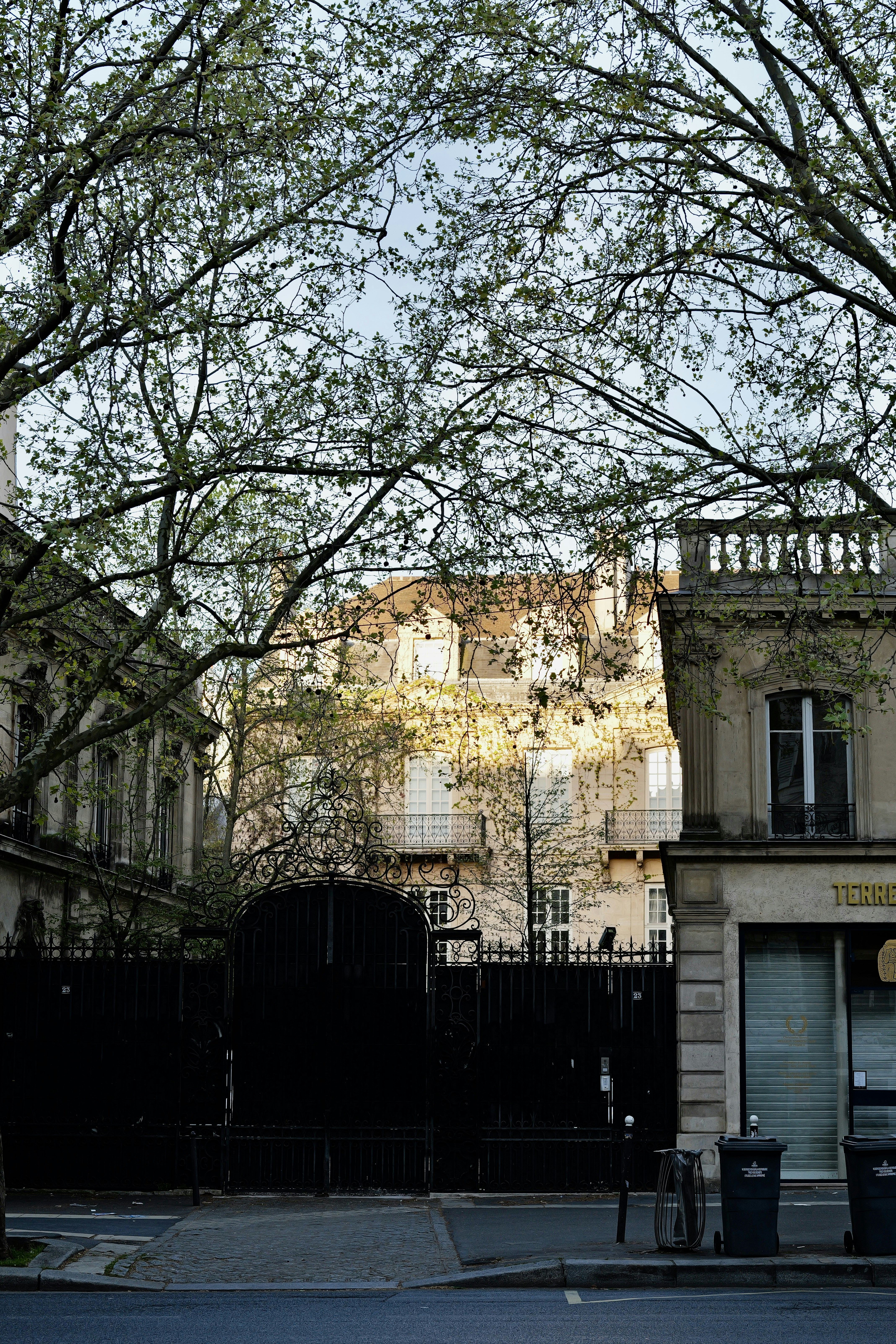 Sunlit Courtyard Through Leafy Canopy