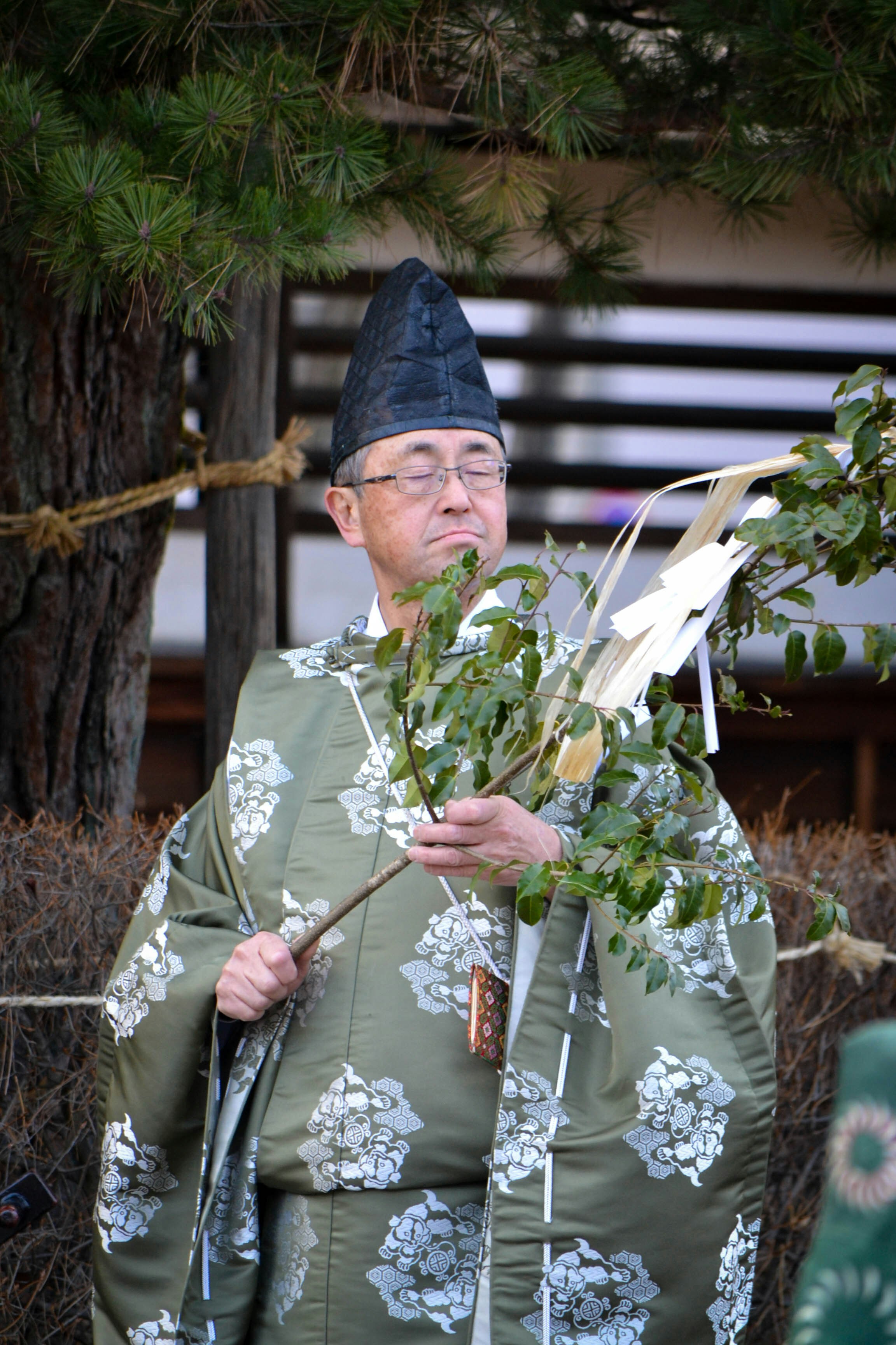 Ceremonial Attire and Branches: A Shinto Priest in Quiet Focus