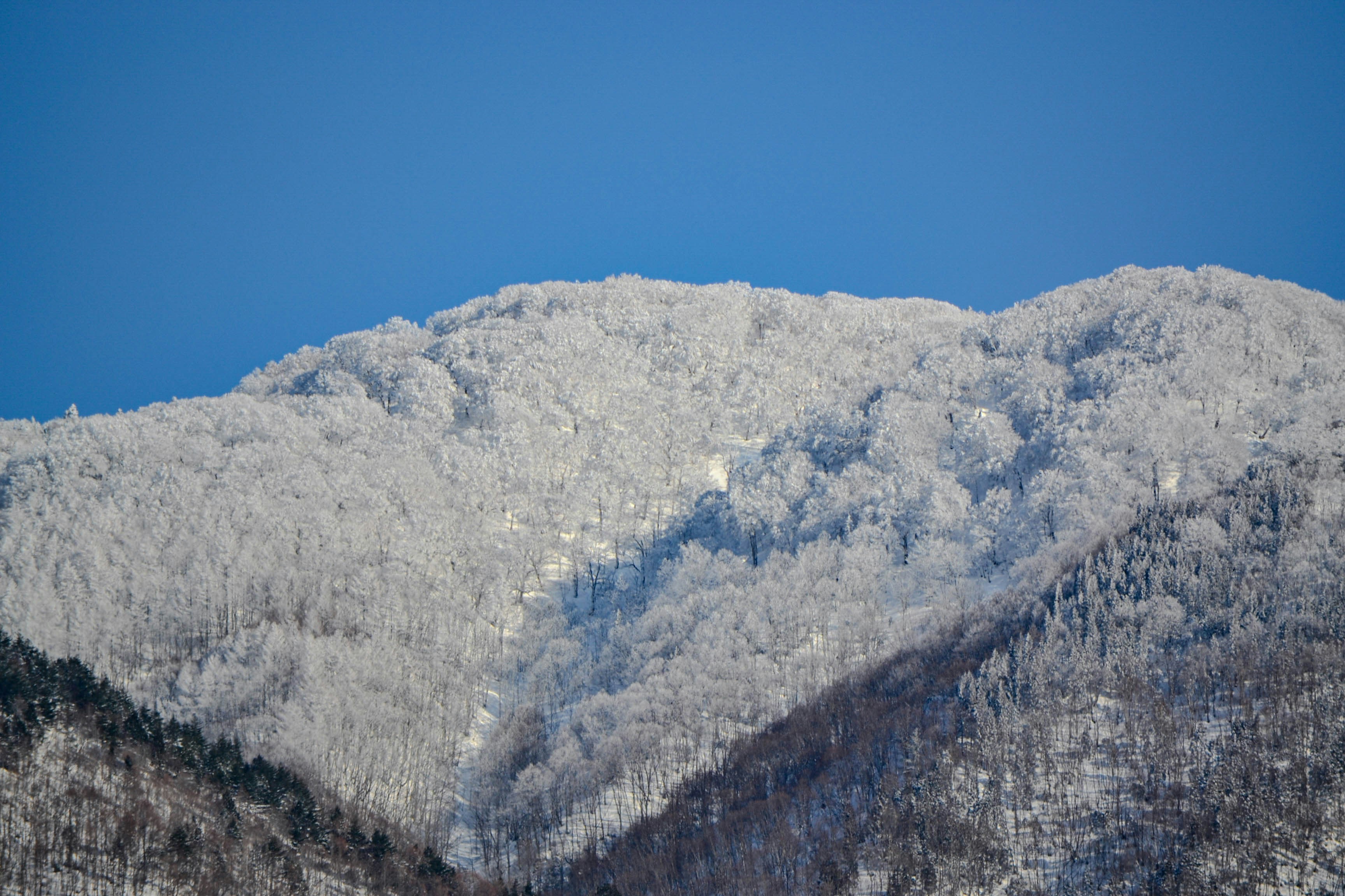 Crowned in Ice: A Snow-Glazed Ridge Under a Clear Sky