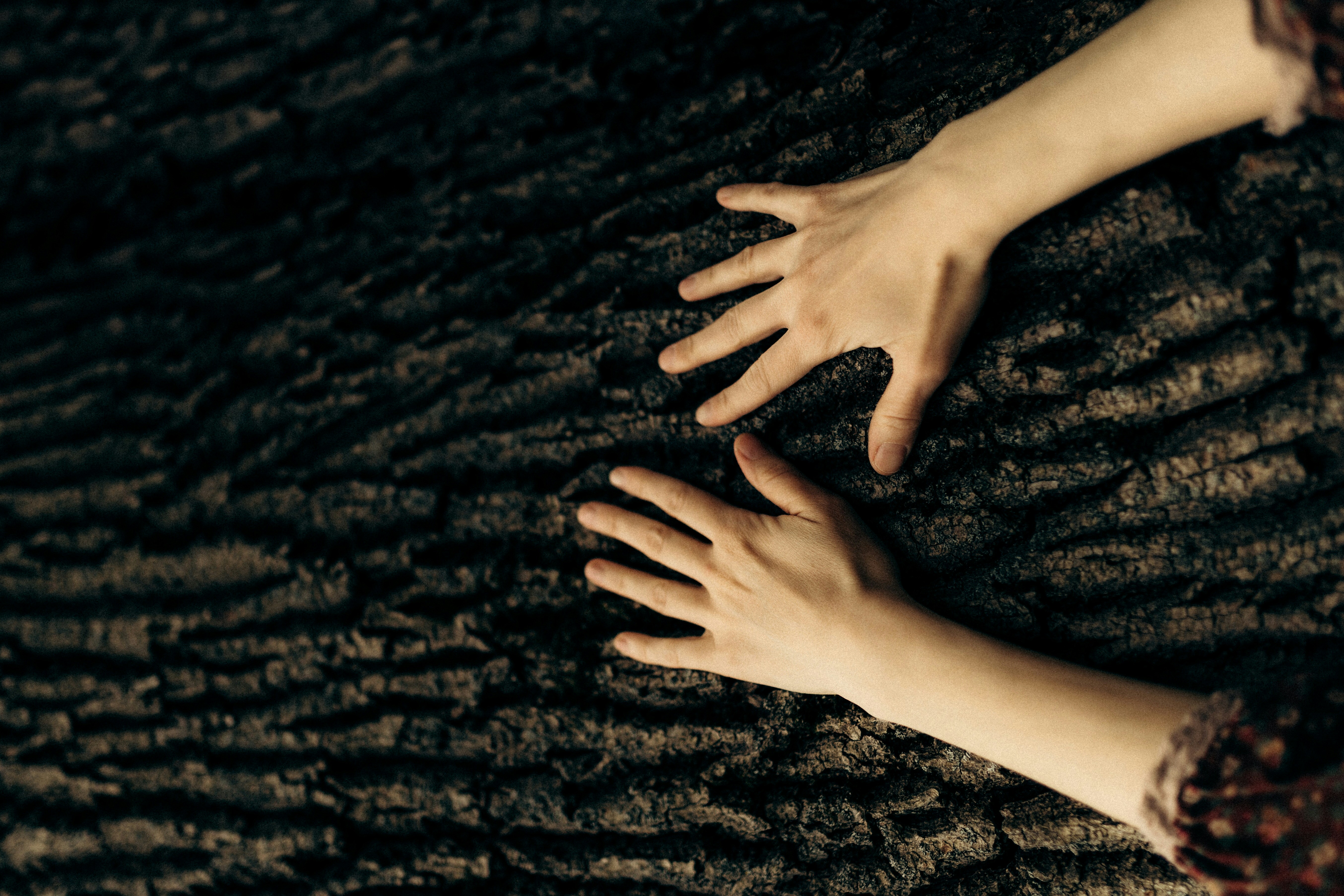 Hands on Dark Sand: A Quiet Moment of Contact