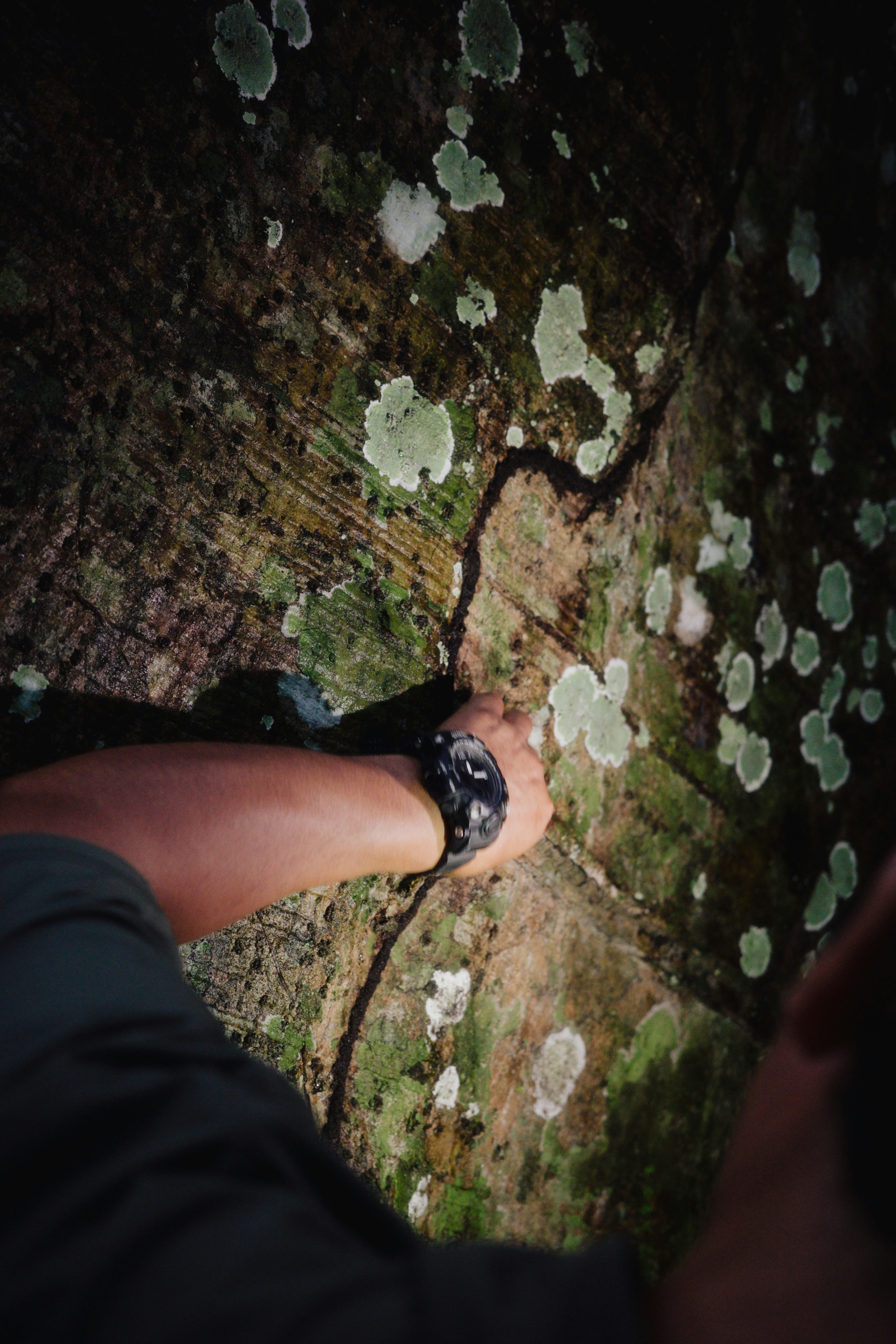 Grip of Moss and Time: A Climber's Hand Reaches into the Vertical Vein
