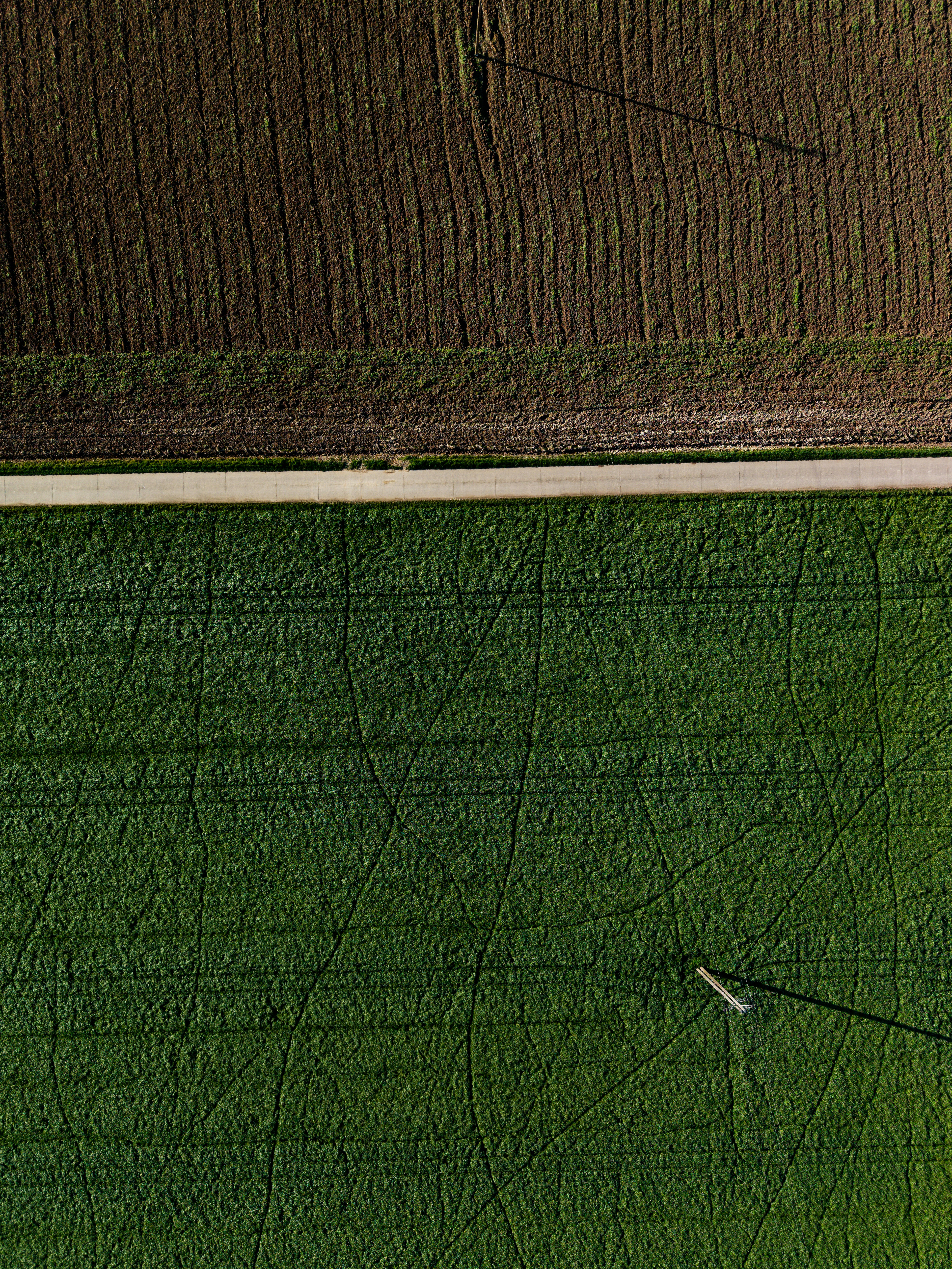 Tranquil Fields from Above: A Tiled Mosaic of Green and Earth