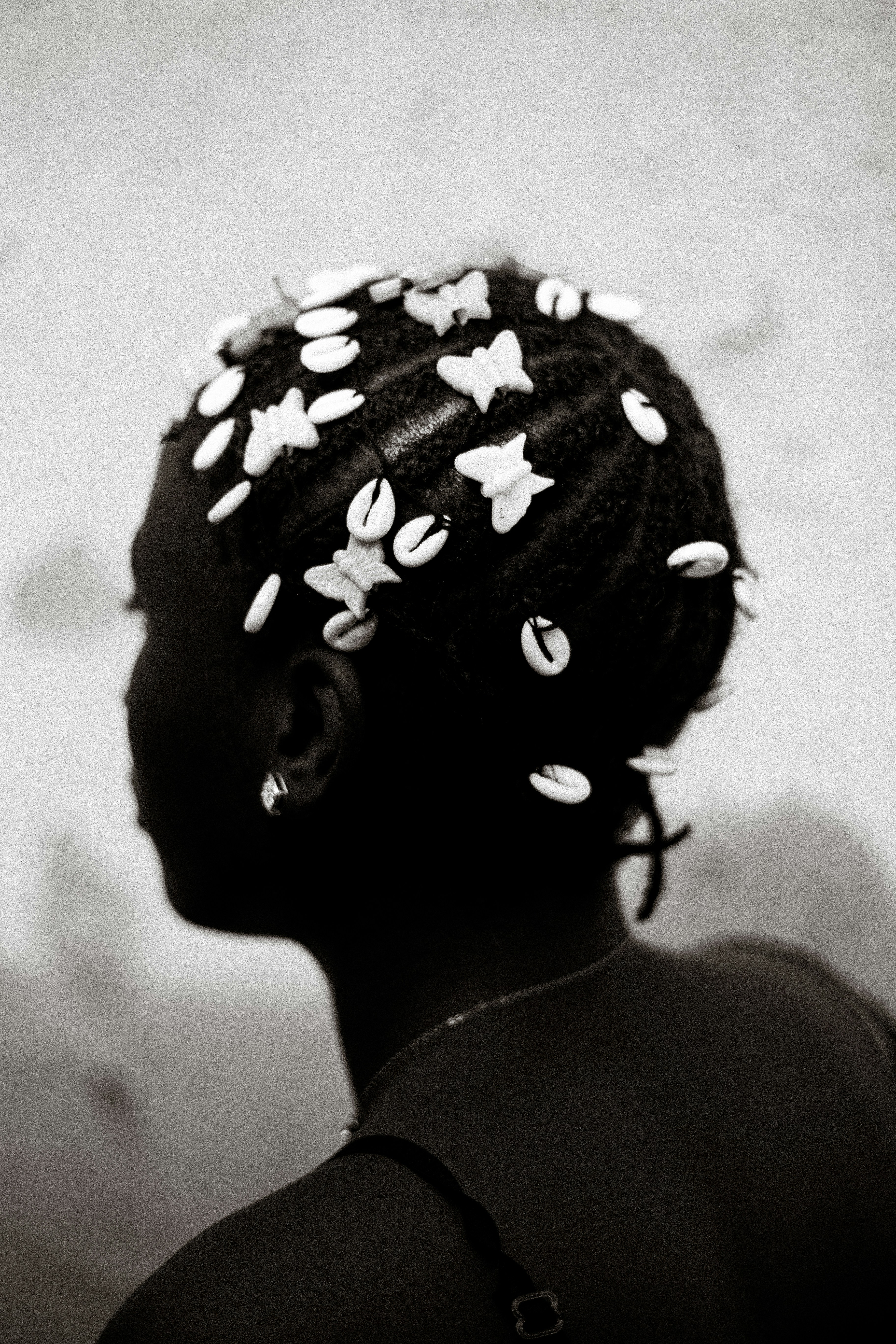 Shells in Shadow: A Portrait of Quiet Rhythm