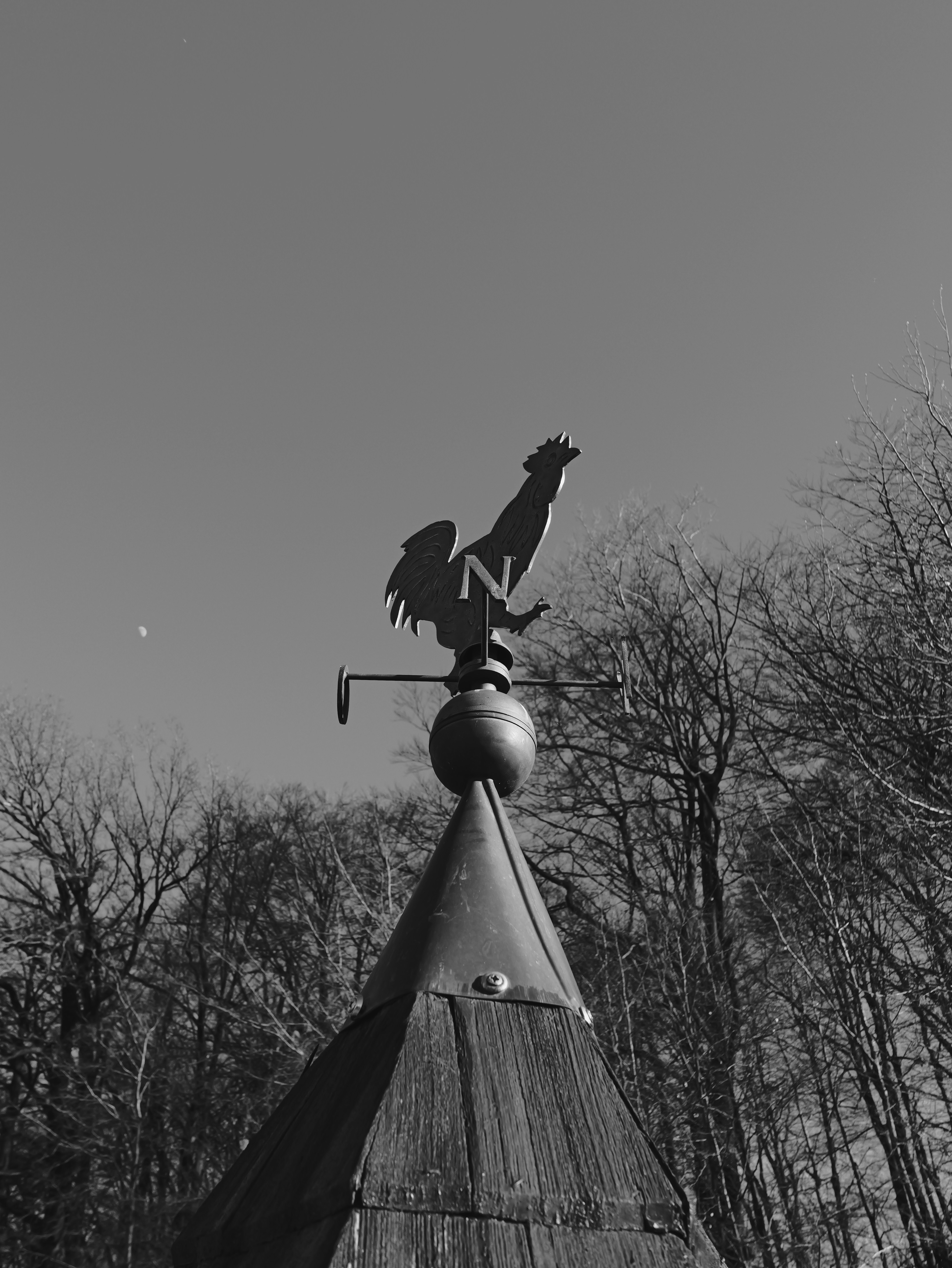 Weather Vane Crowned with Rooster Silhouette Above a Steep Wooden Roof