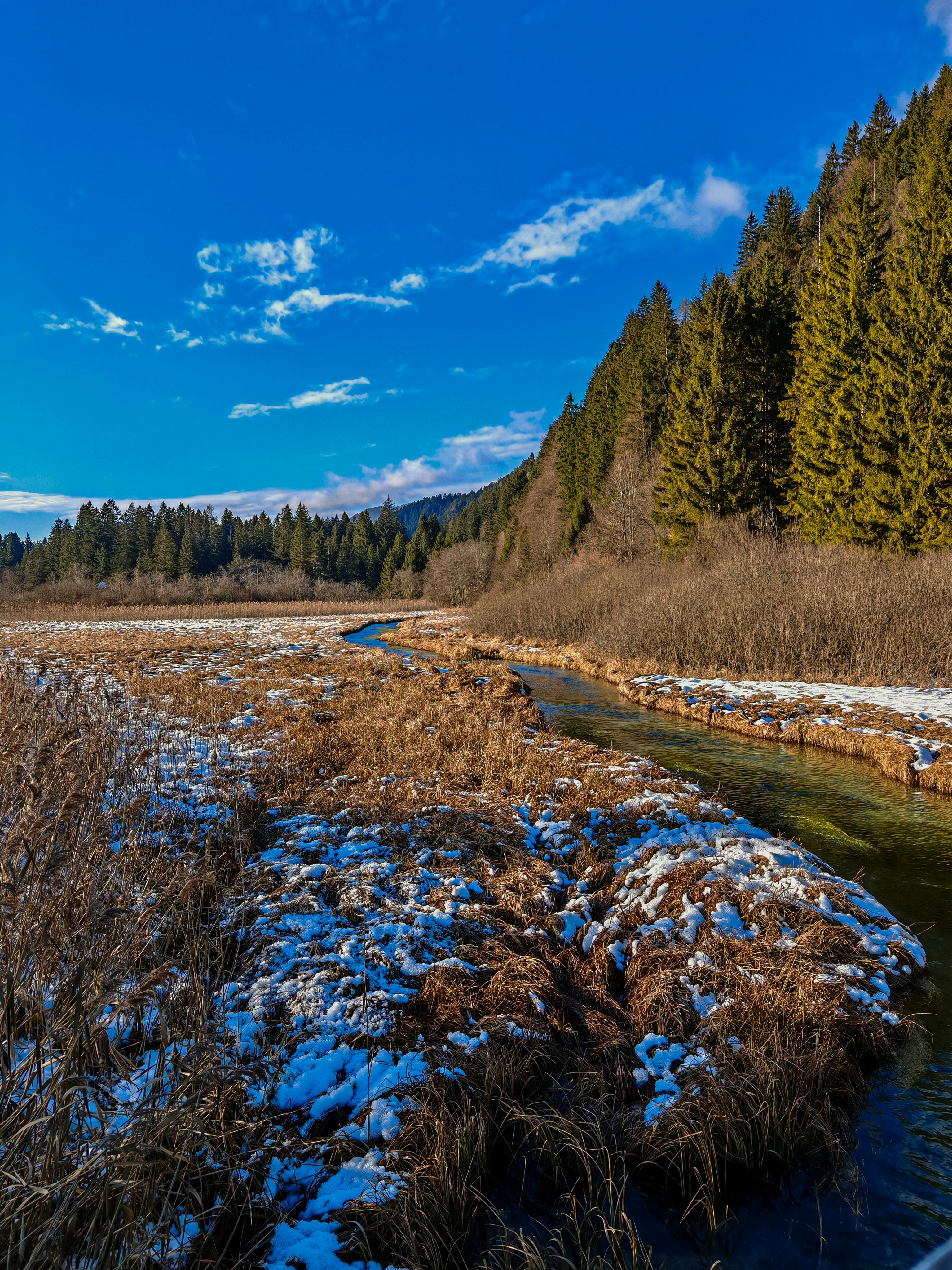 Snow-dusted stream winding through a sunlit meadow toward distant pines