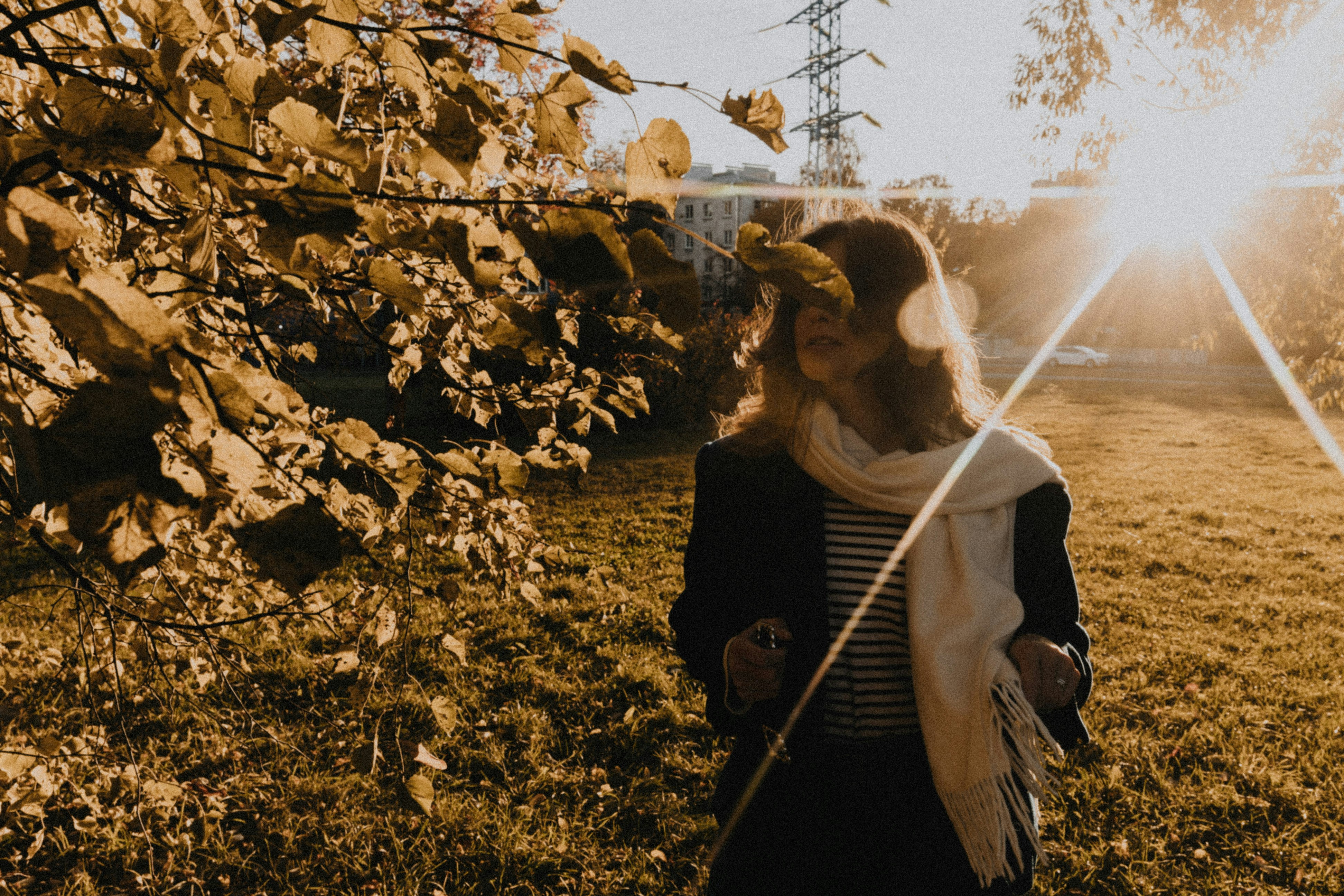Golden Hour Silhouette: A Woman Walking Amid Autumn Light