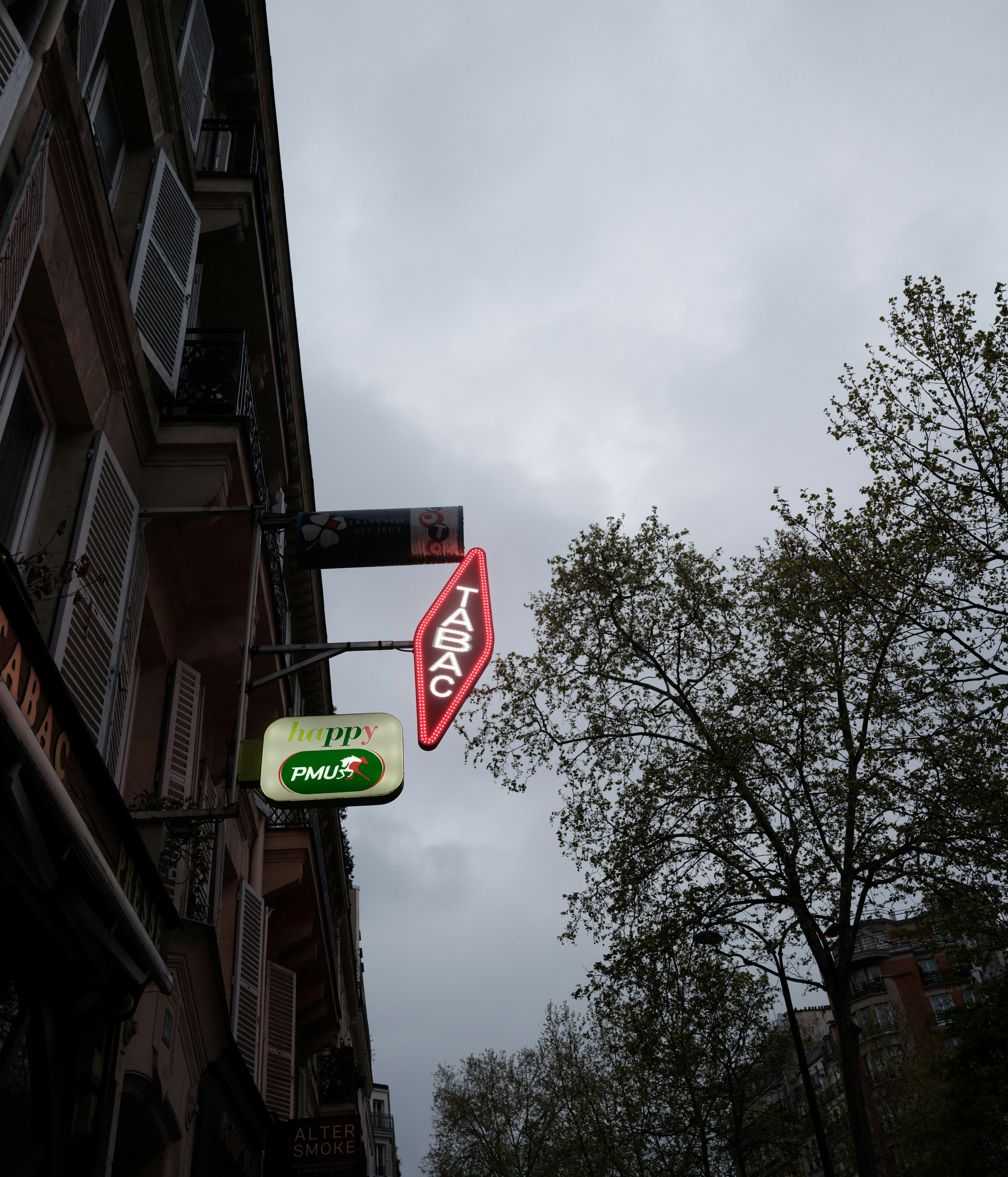 Neon Sign Overcast: A Quiet Avenue of Signs and Trees