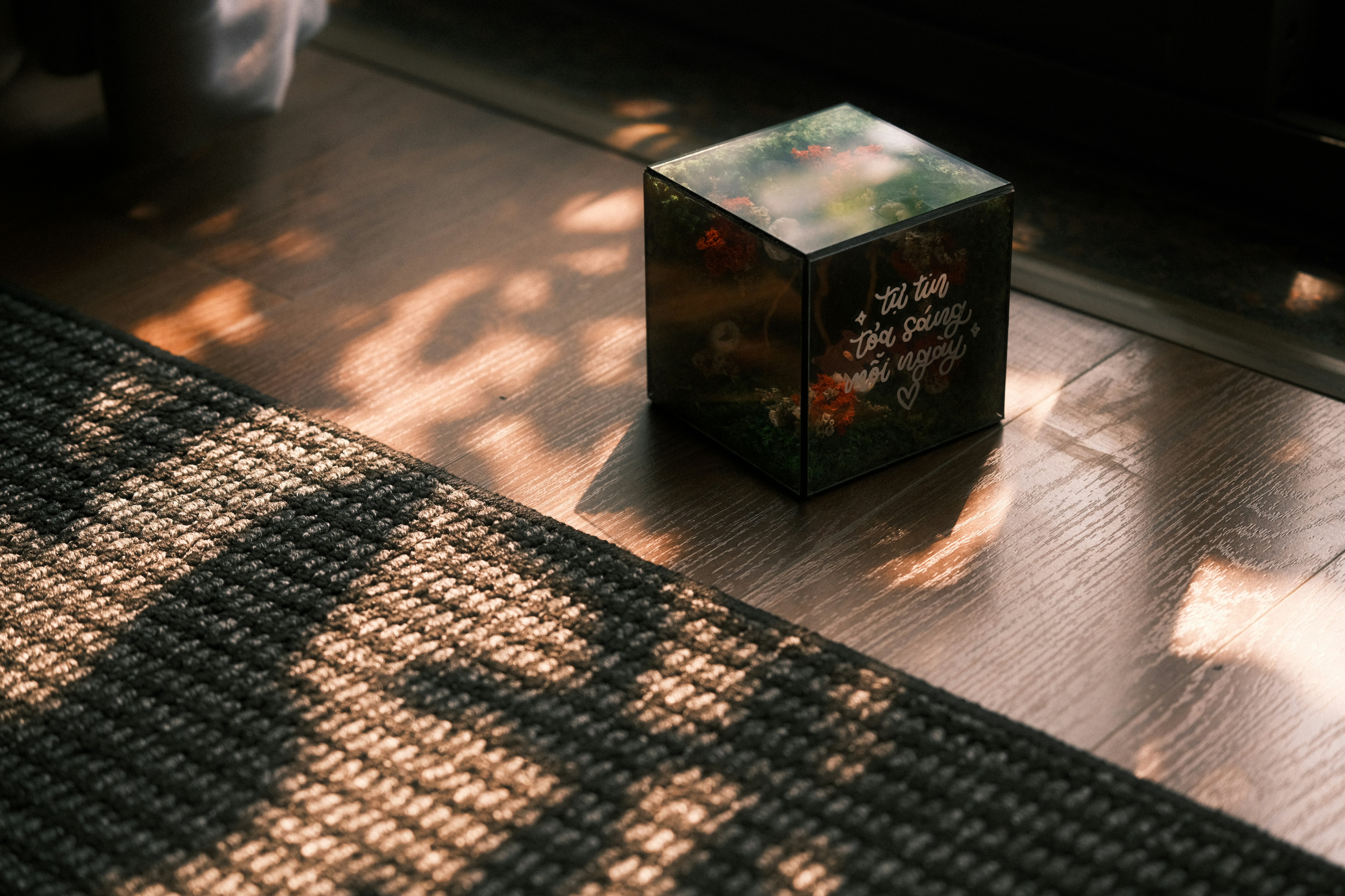 Sunlit Cube: A Quiet Shadow Cast by a Delicate Object