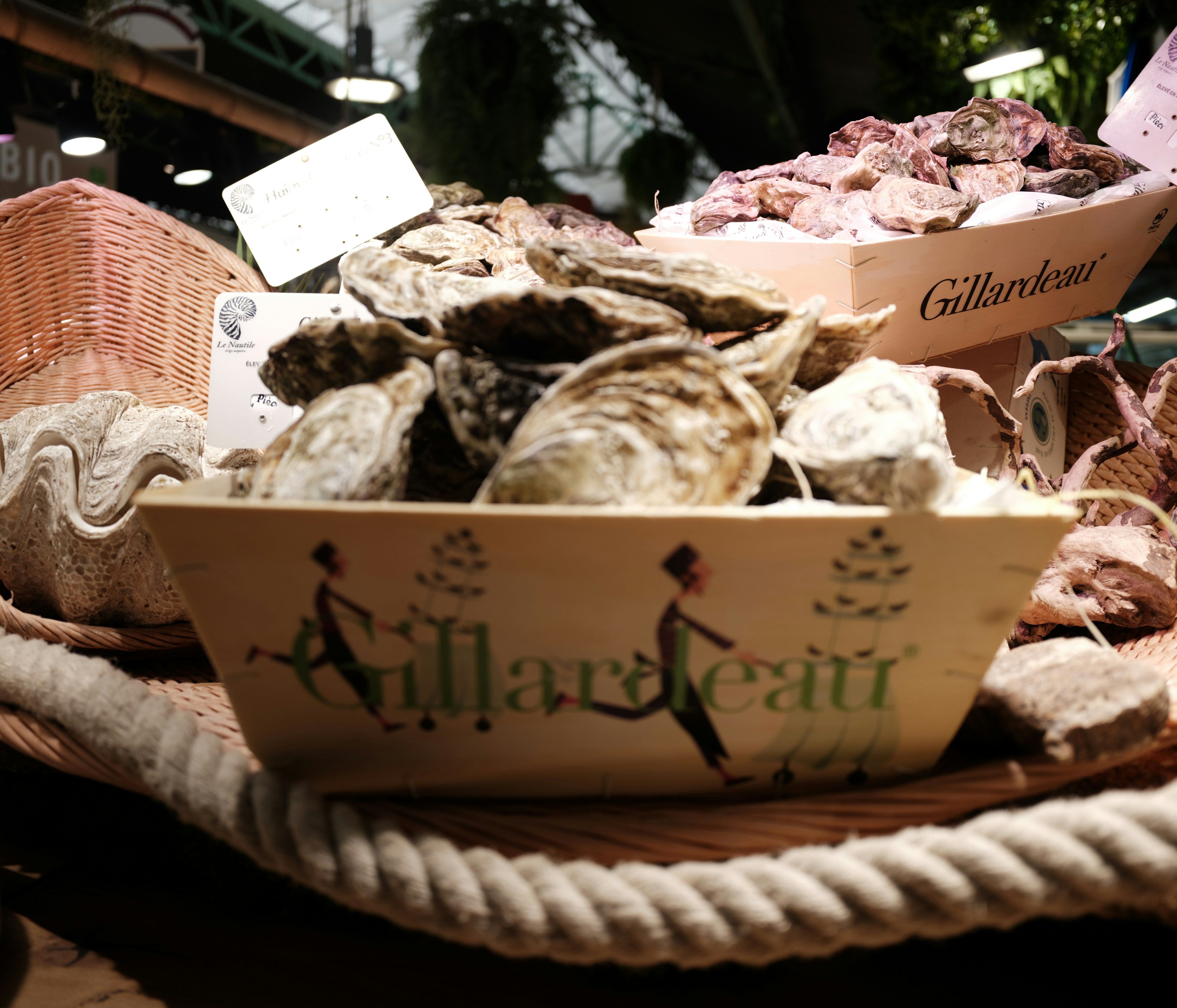 Cart of Crustacean Delights at a Coastal Market