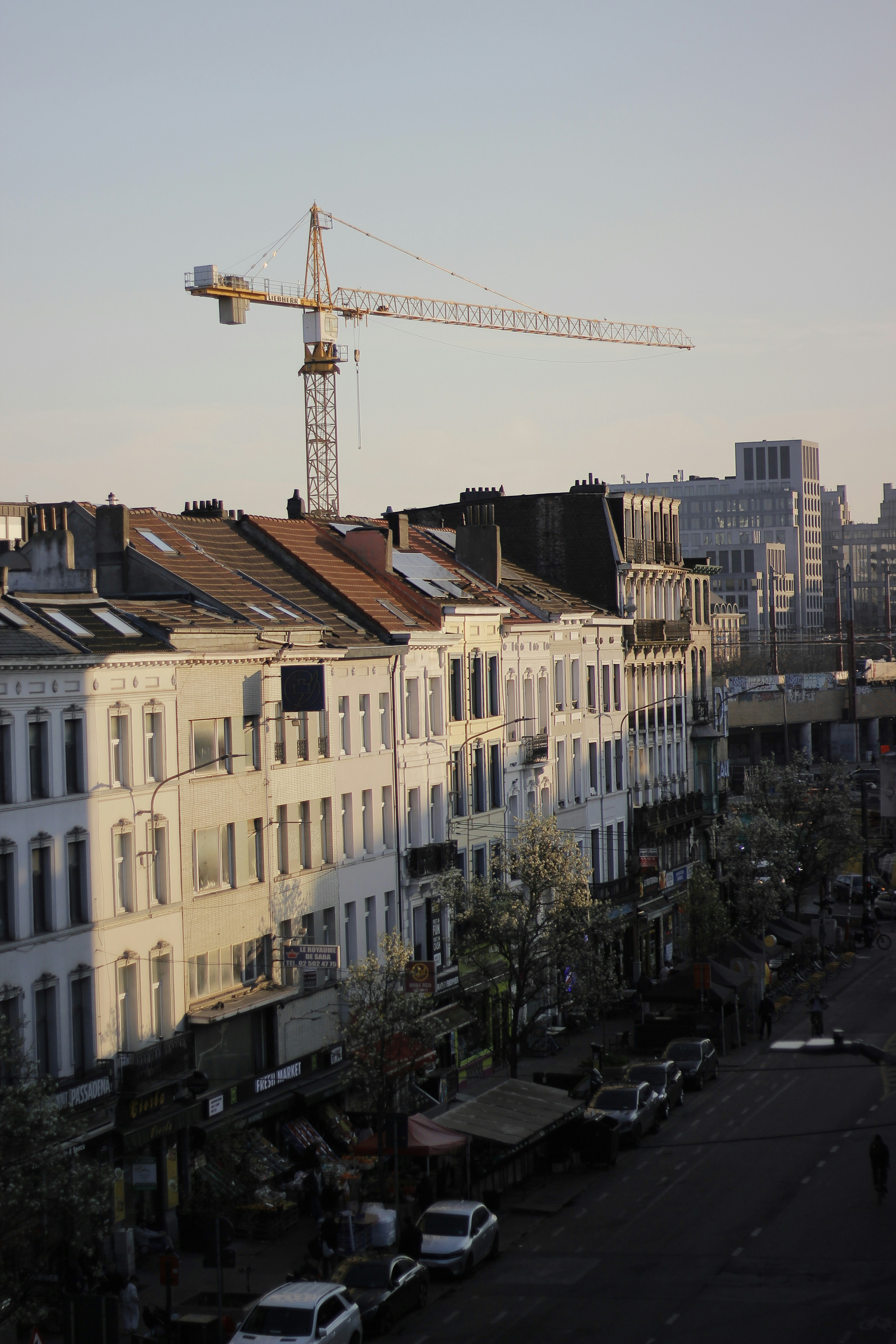City Framing Under a Towering Crane