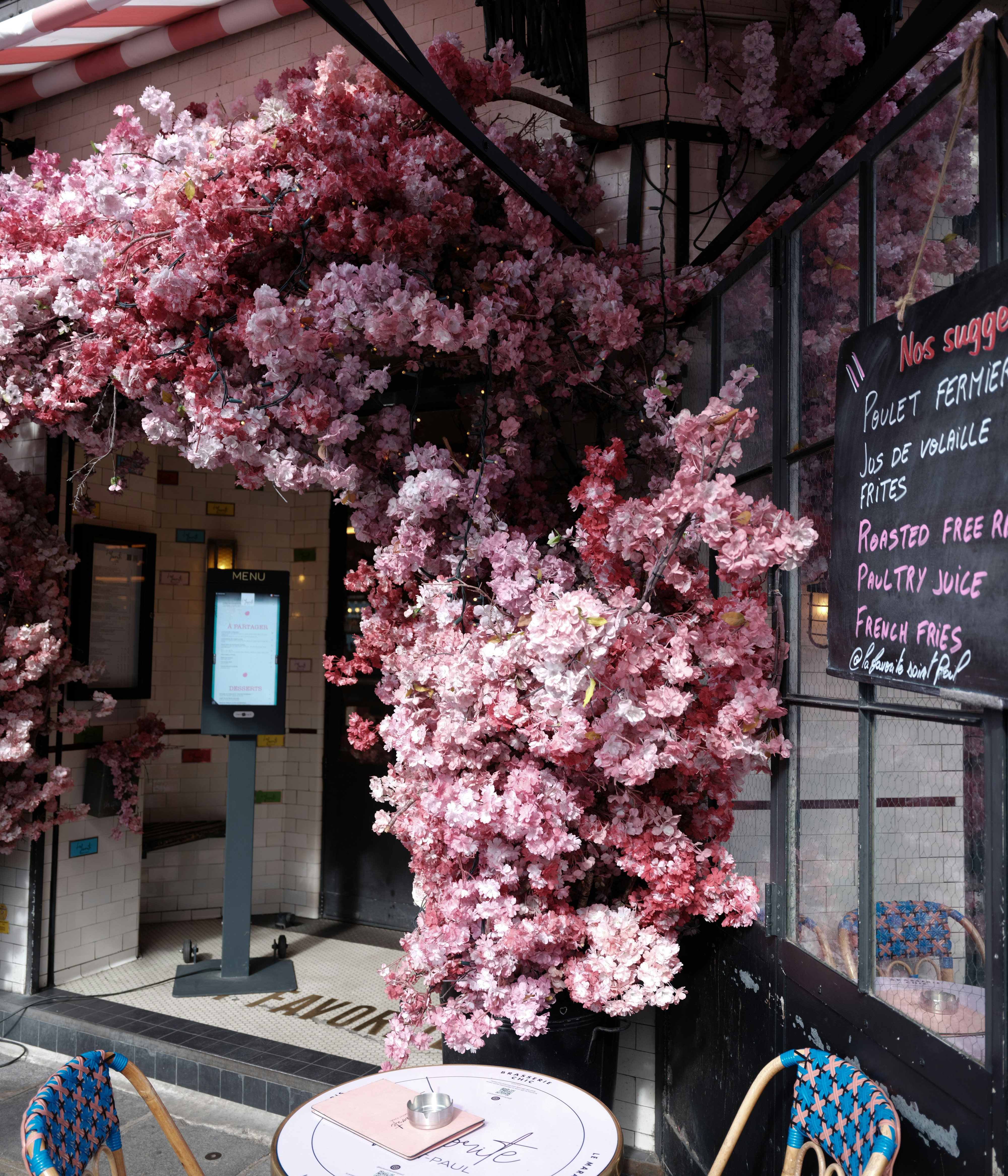 Pink Bougainvillea cascade framing a French café entrance