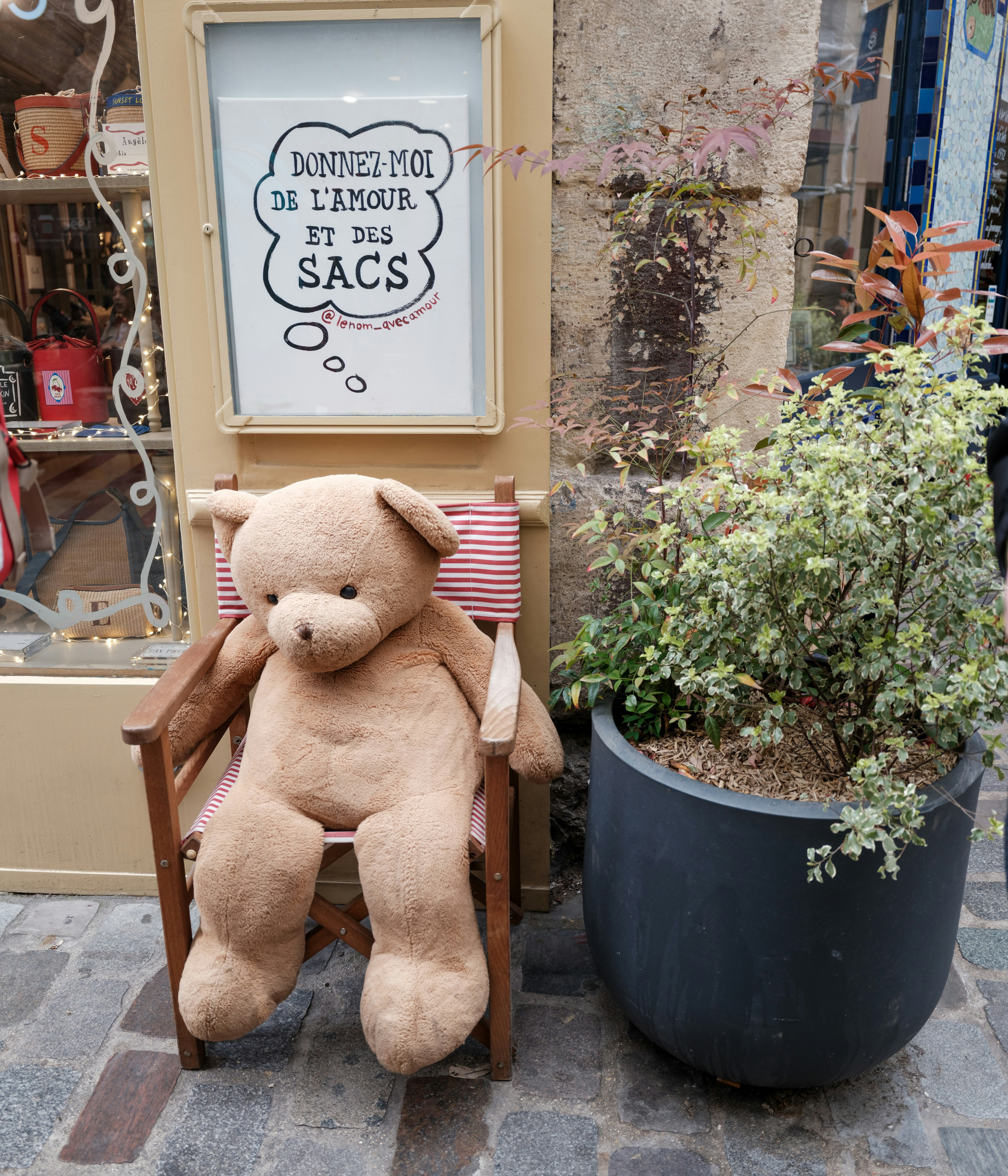Teddy in the Alley: A Quiet Pause by the Doorway