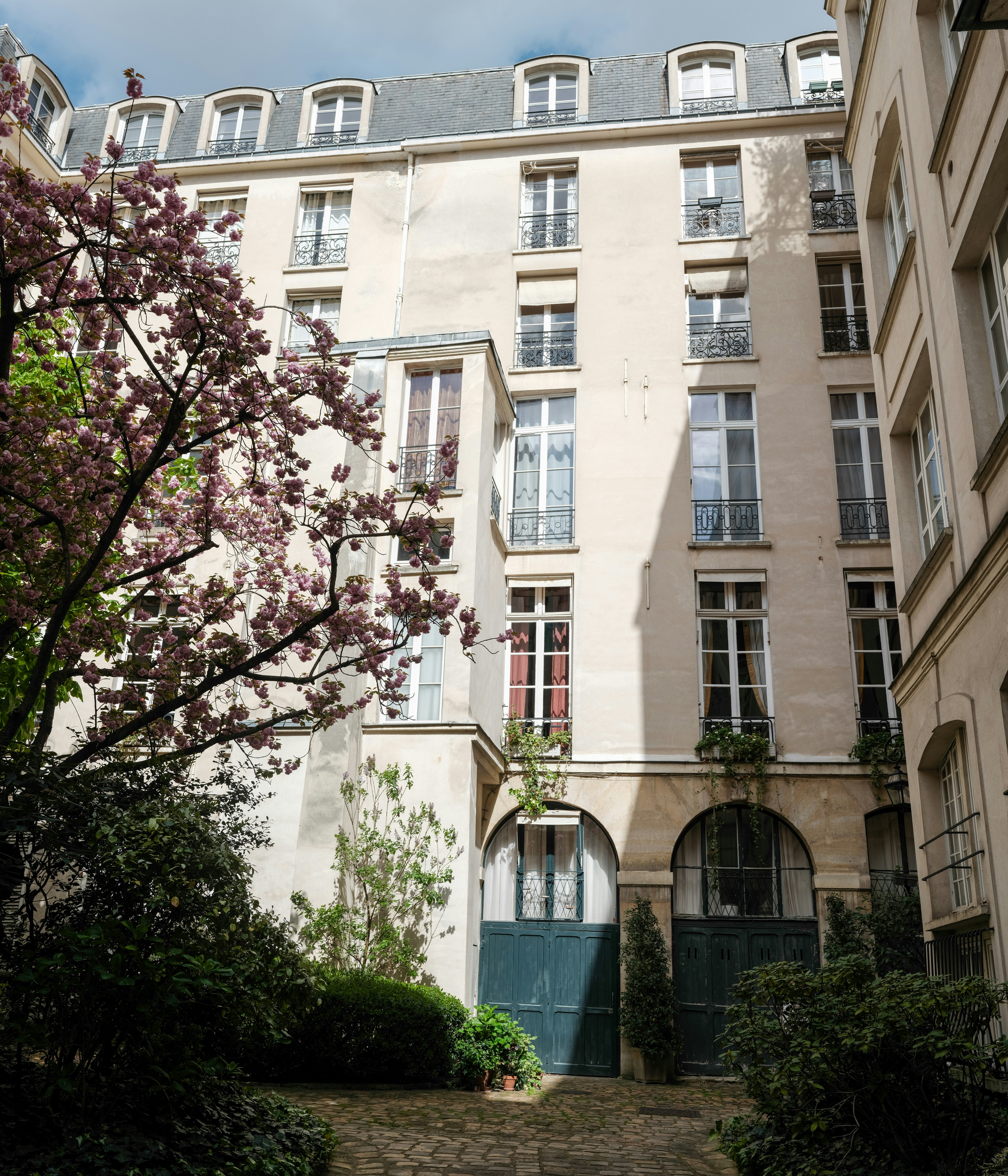 Courtyard Bloom: Light on a Parisian Facade
