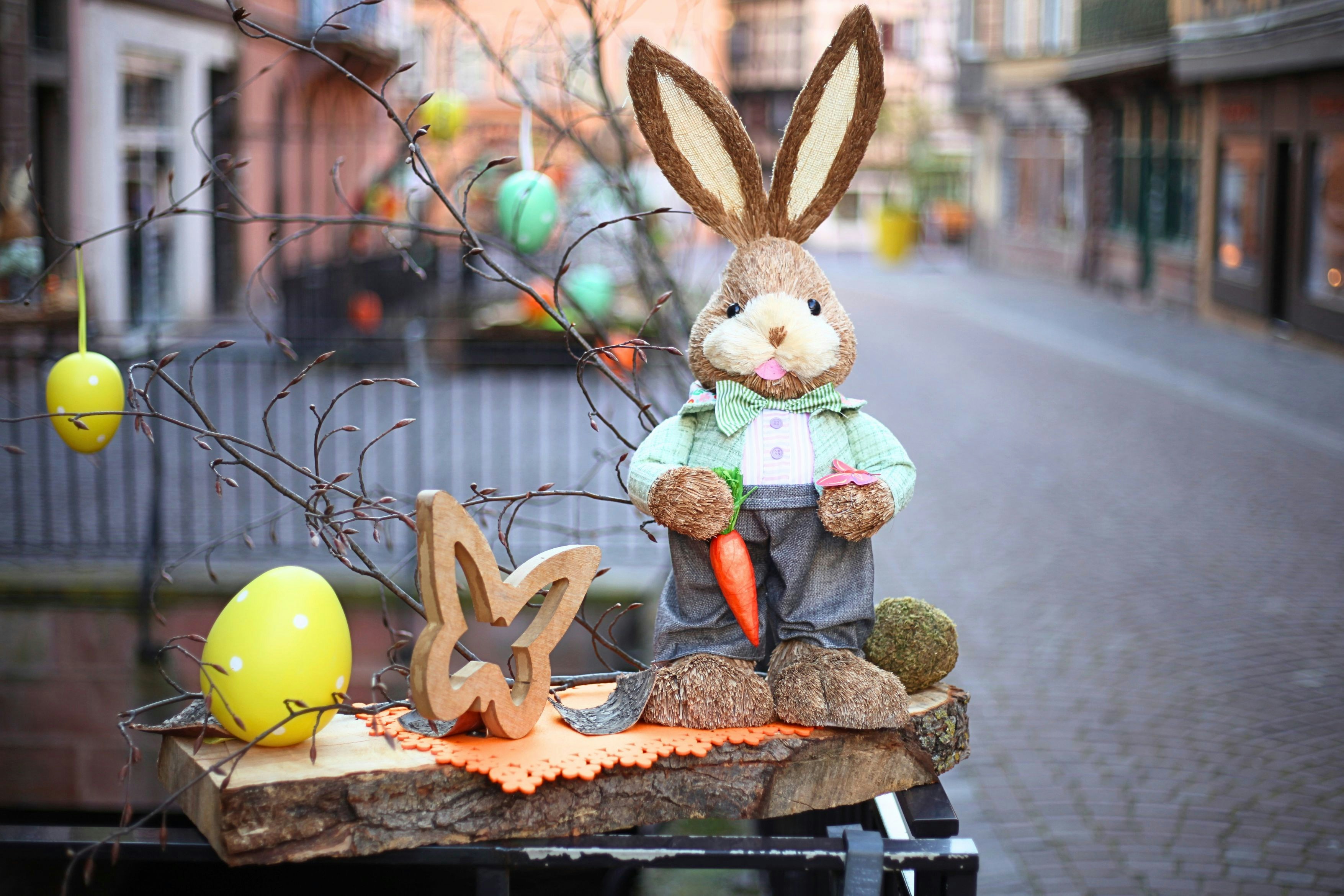 Easter bunny decoration with eggs and carrot photo – Free Spring Image ...