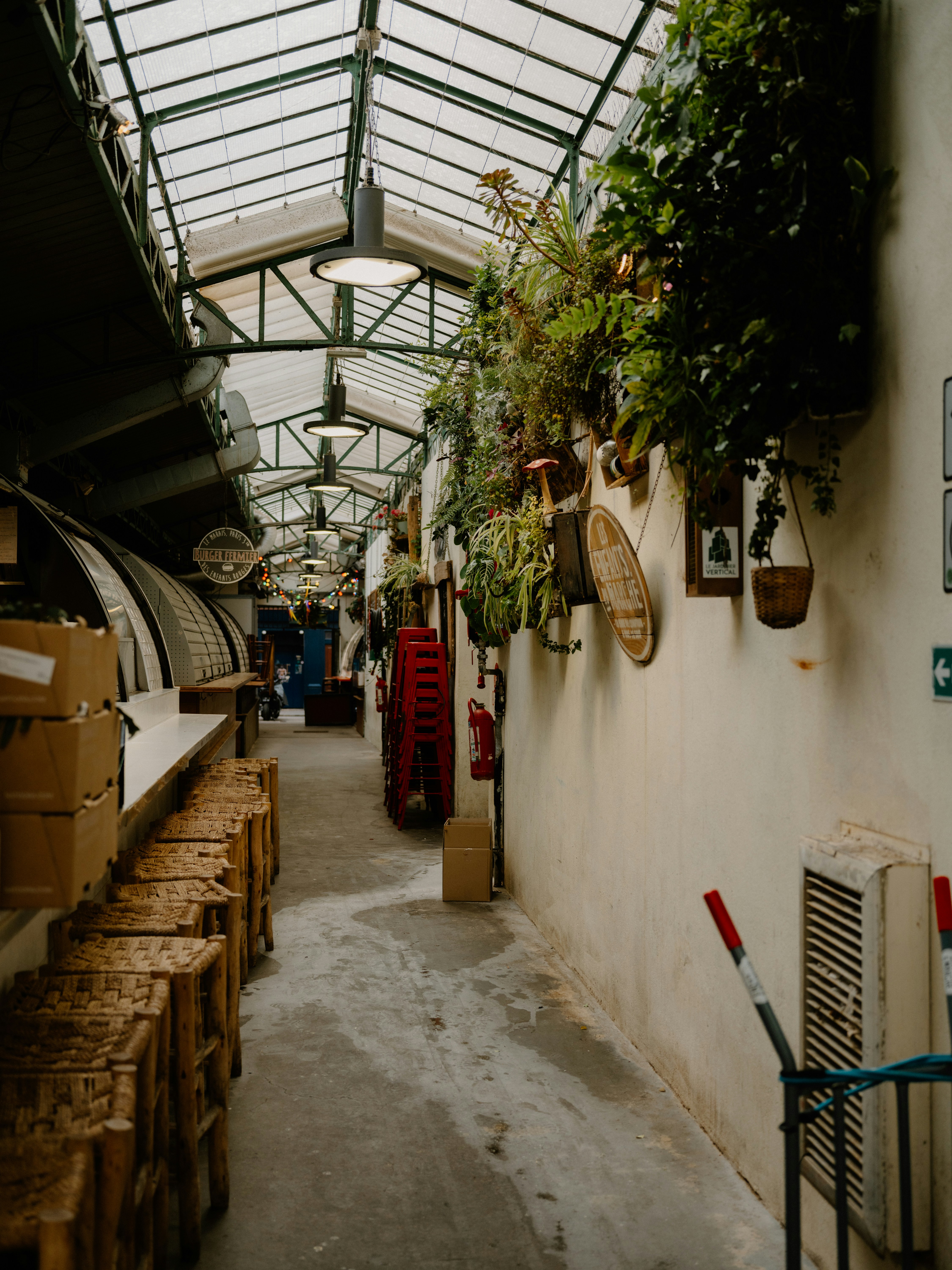 Vineyard of Goods: A Narrow Market Corridor Under Glass