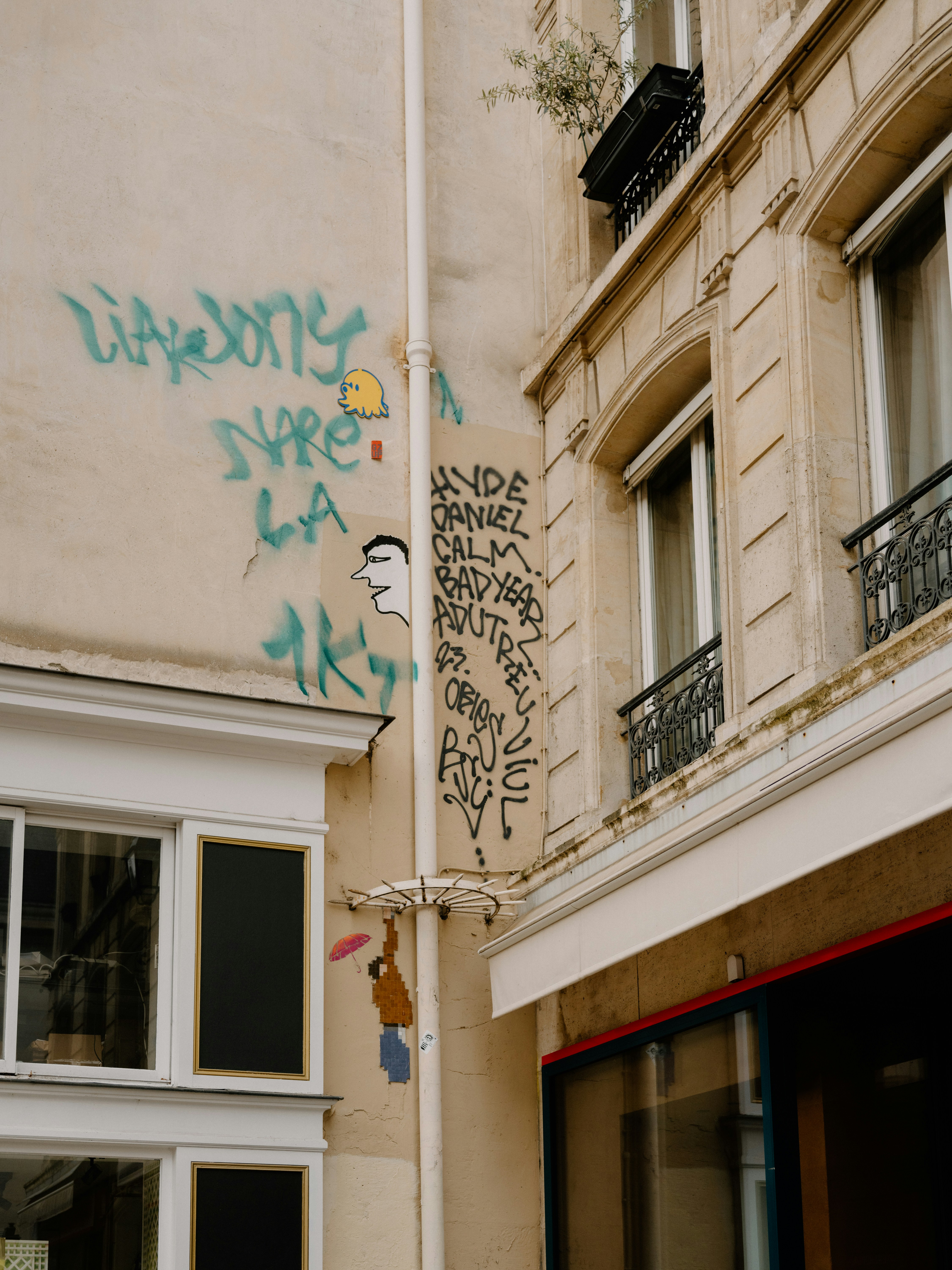 Urban Graffiti Portrait on a Parisian Corner