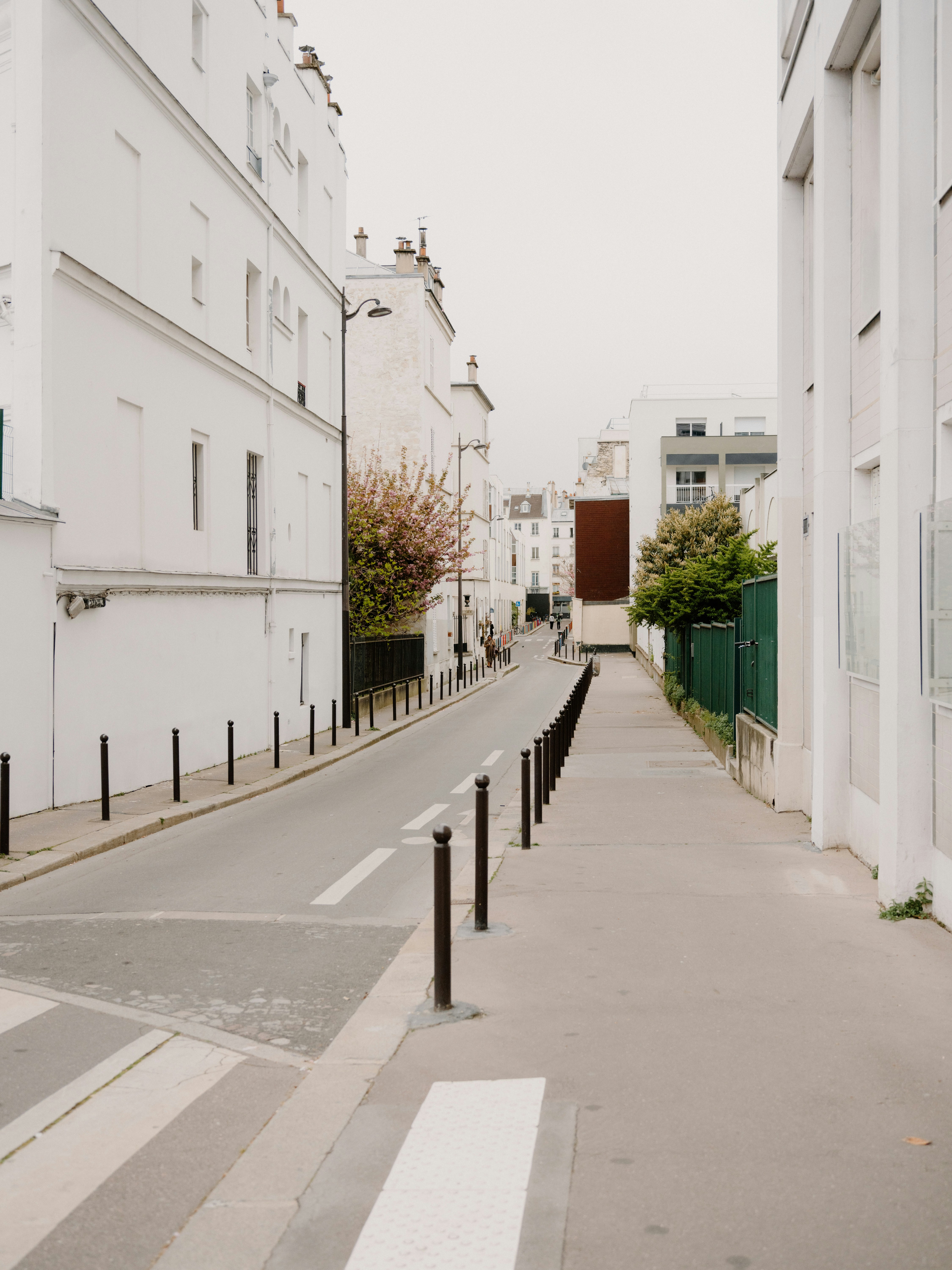 A Quiet Avenue Framed by White Facades