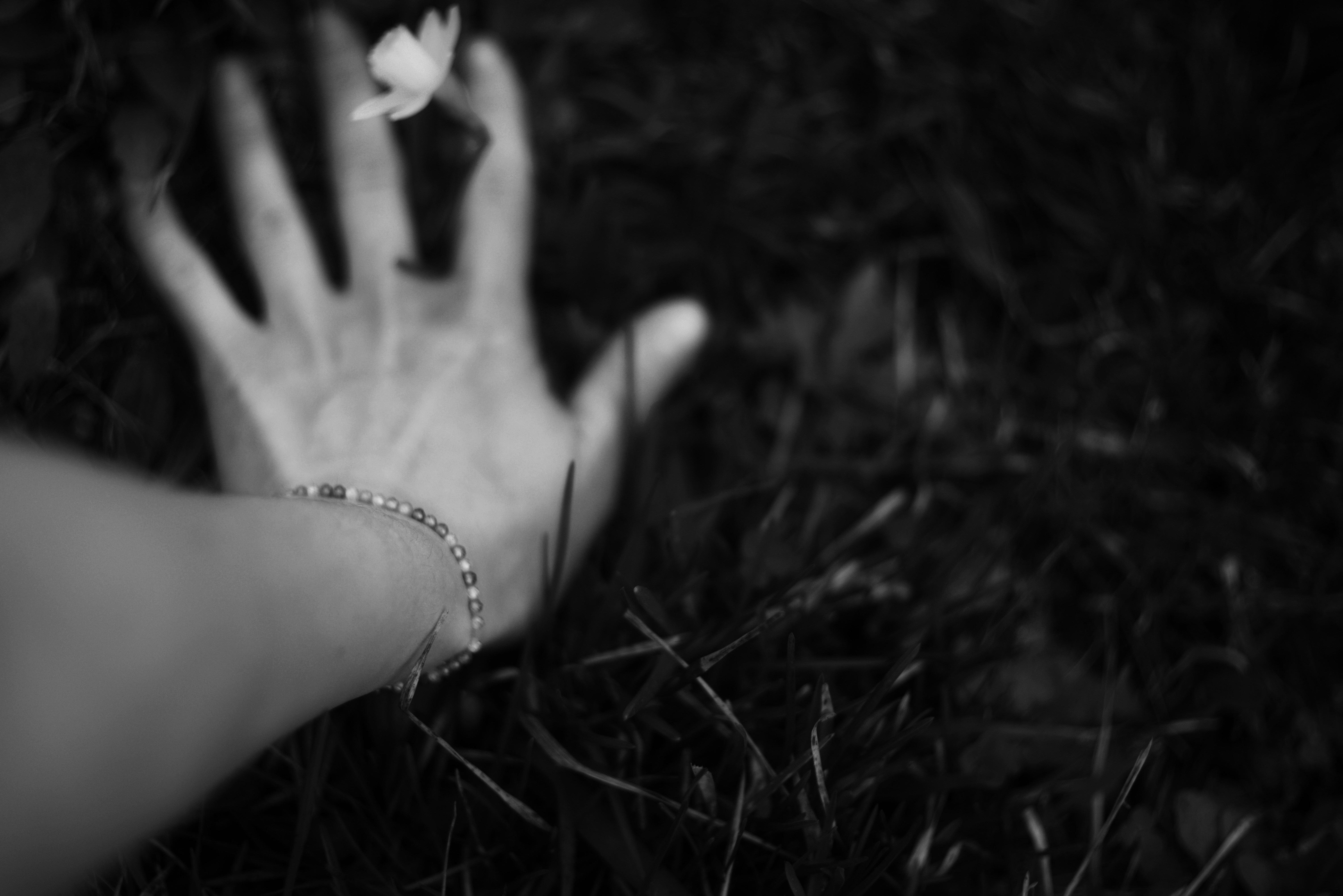 Fading Gesture: A Hand Reaches Through Grass