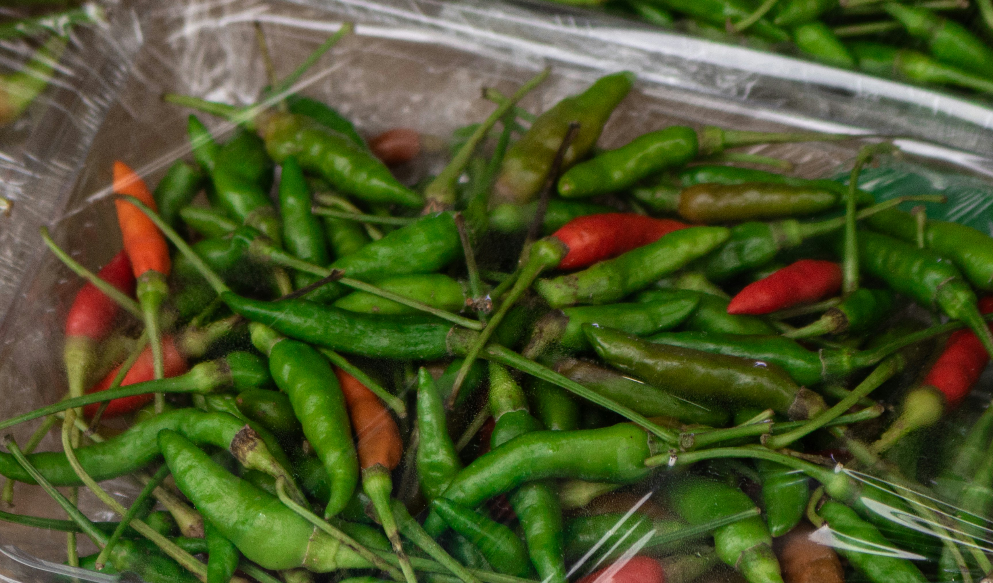 Bushel of Peppers: Fresh Green and Red Chili Harvest