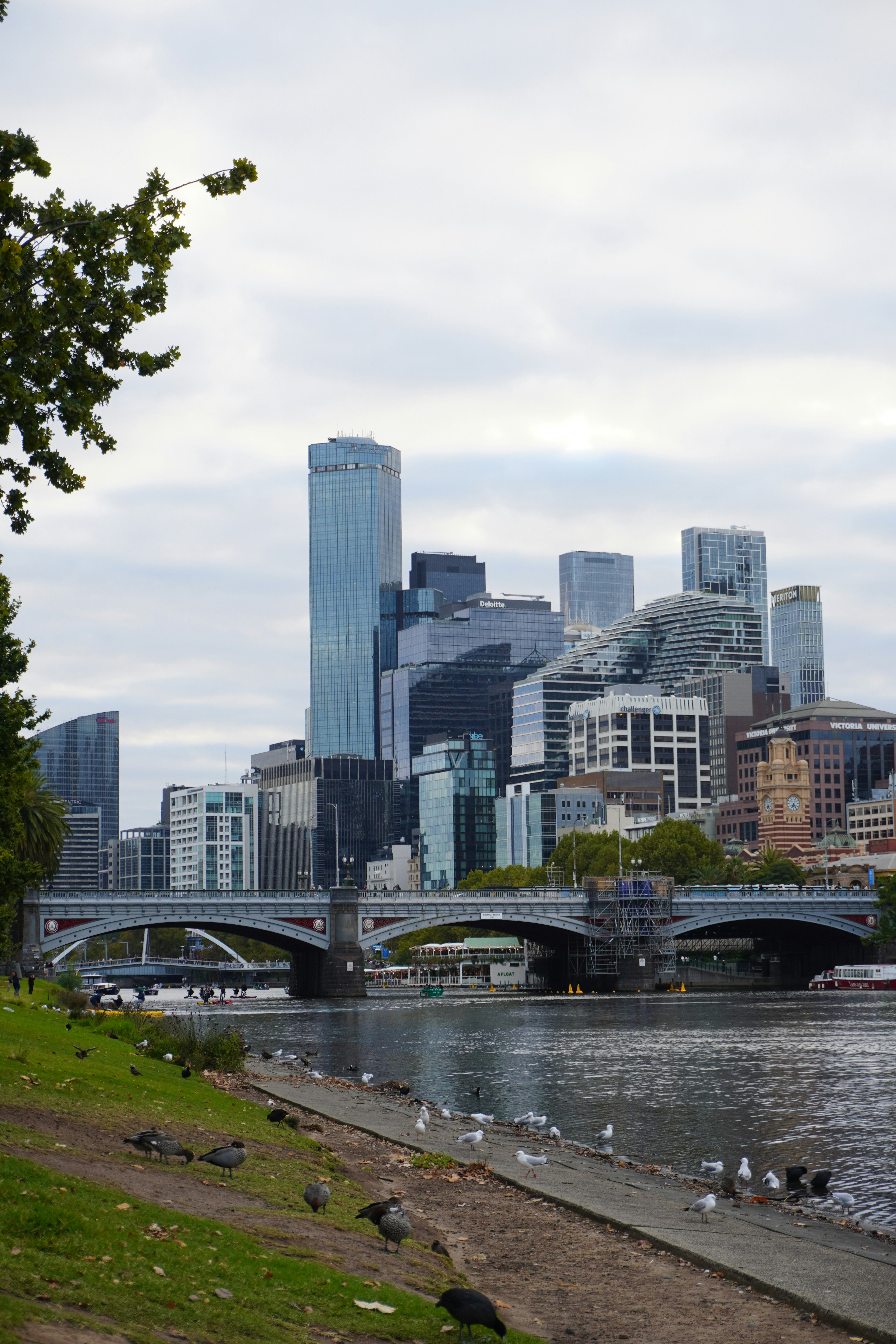 Urban Skyline Over the Thames: Bridges, Glass Towers, and Busy Banks