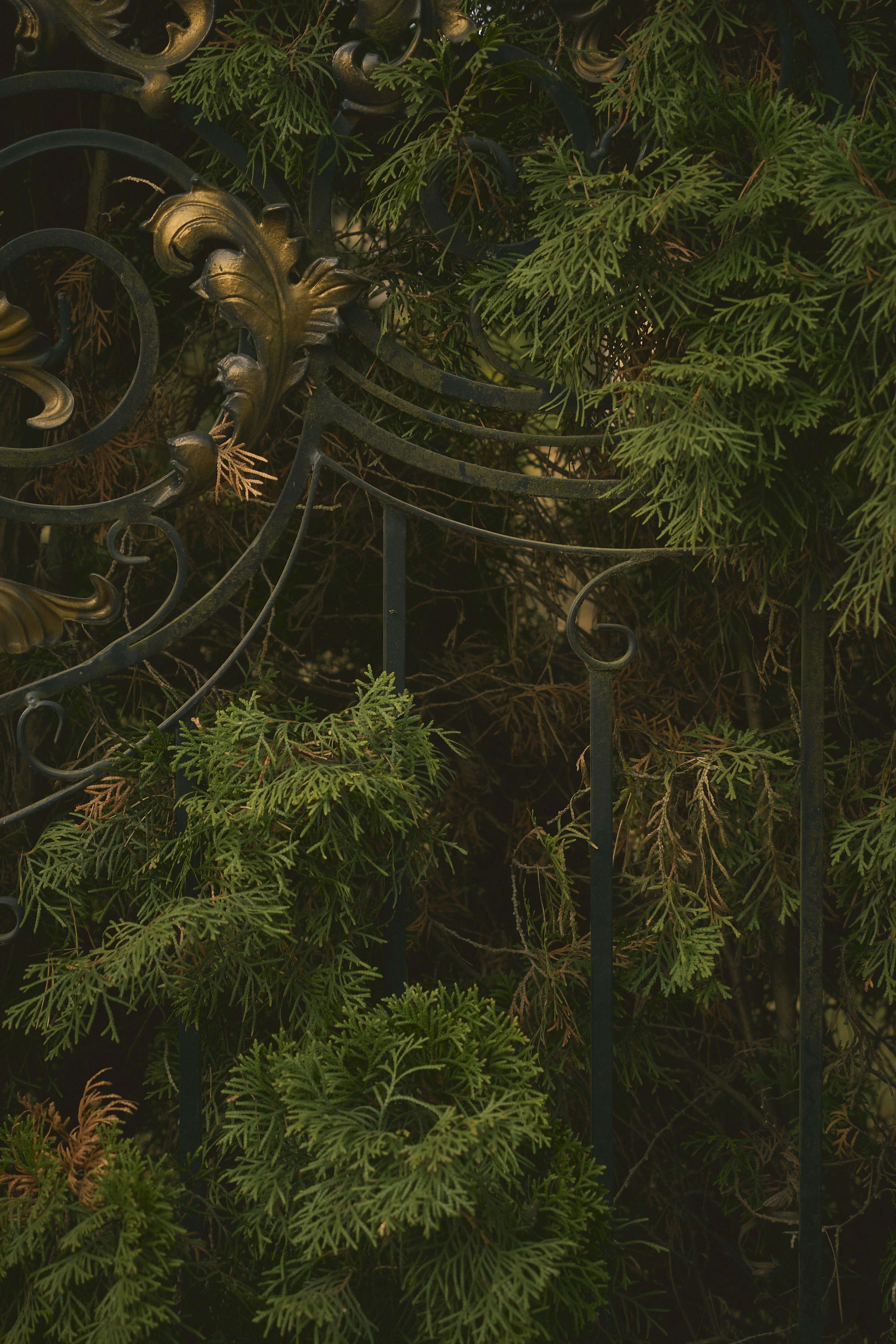 Verdant Gatework: Iron Scrolls Hidden by Foliage