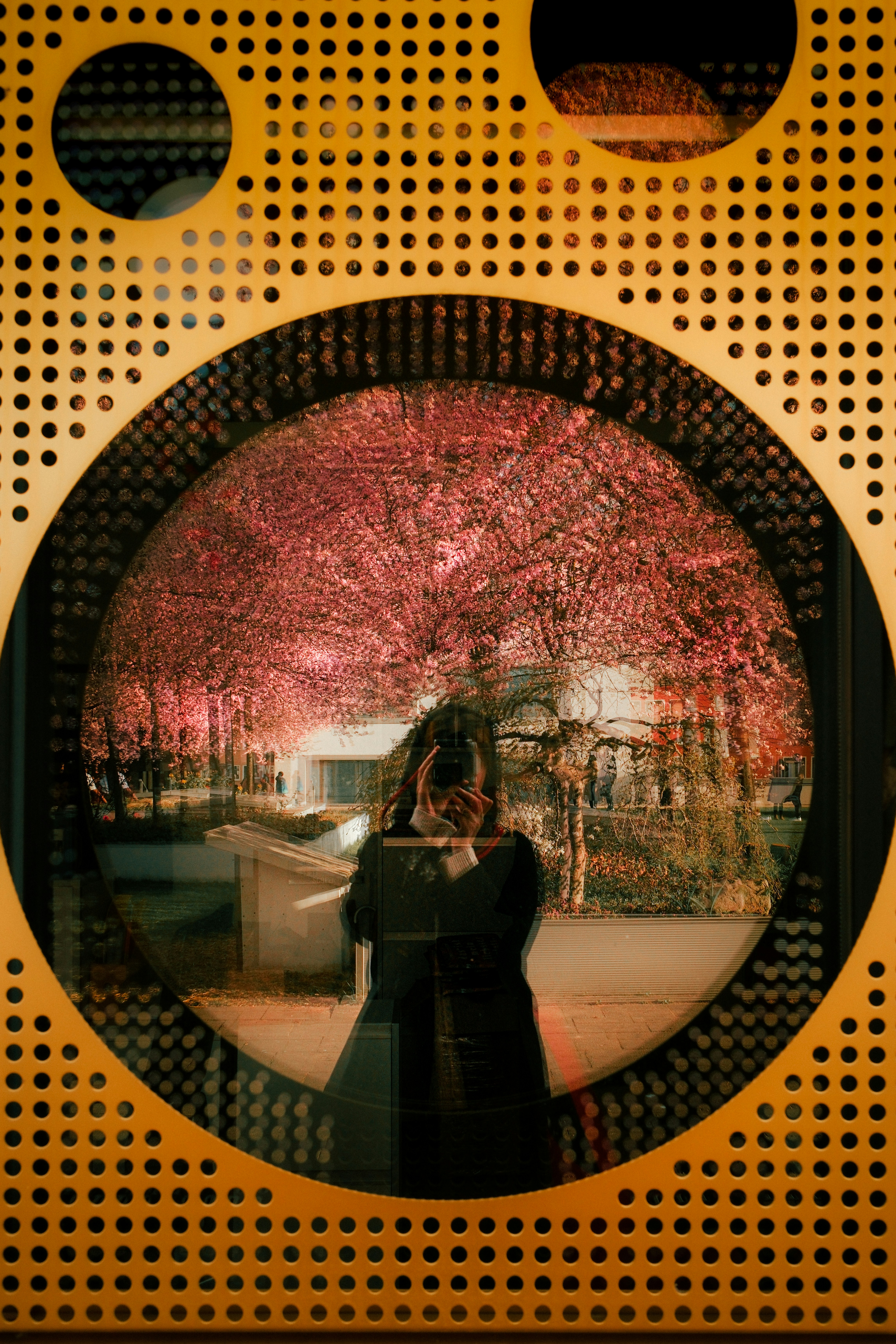 Circular Glass, Central Reflection