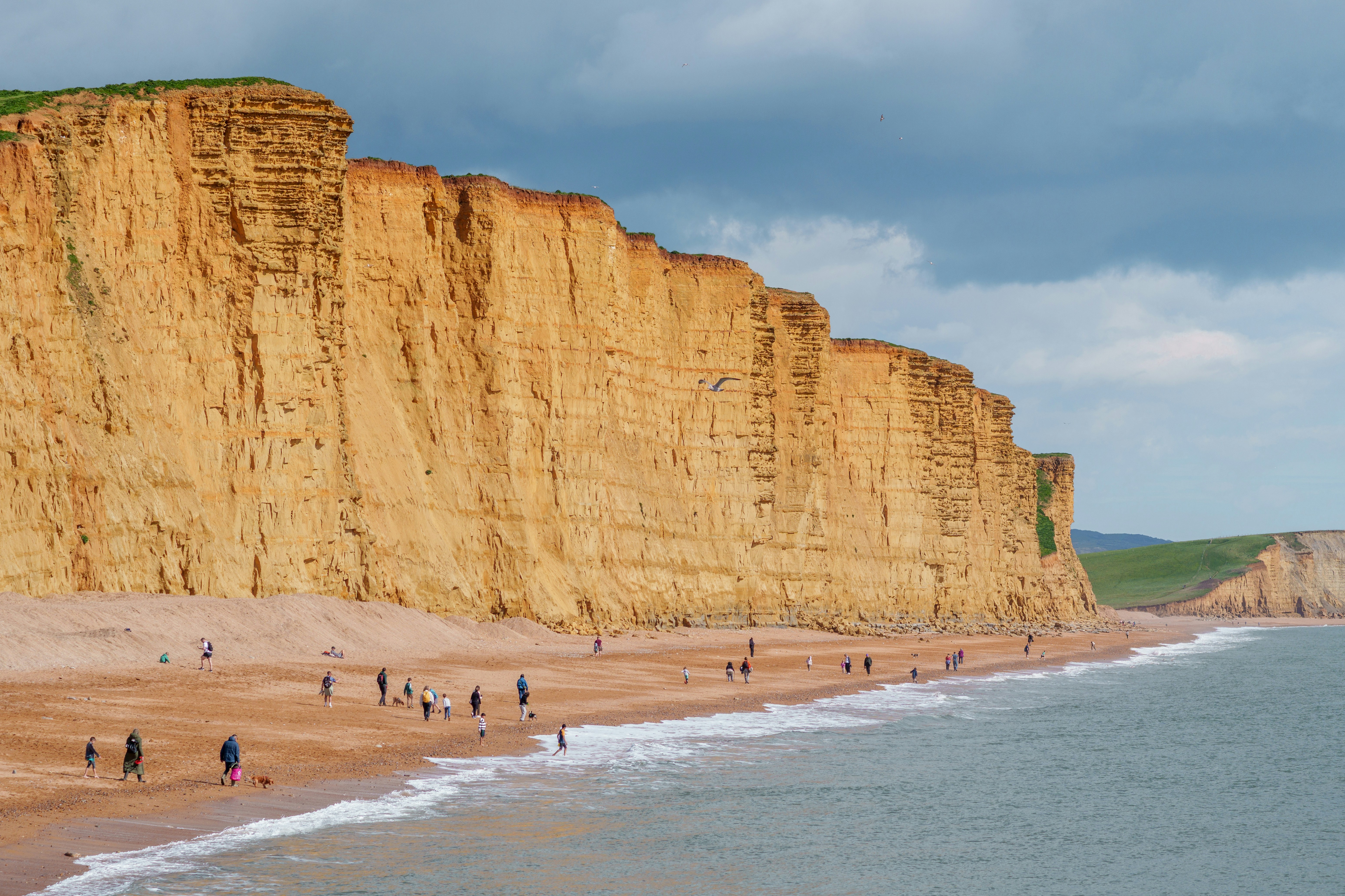 Golden Cliffs Meet the Tidal Shoreline