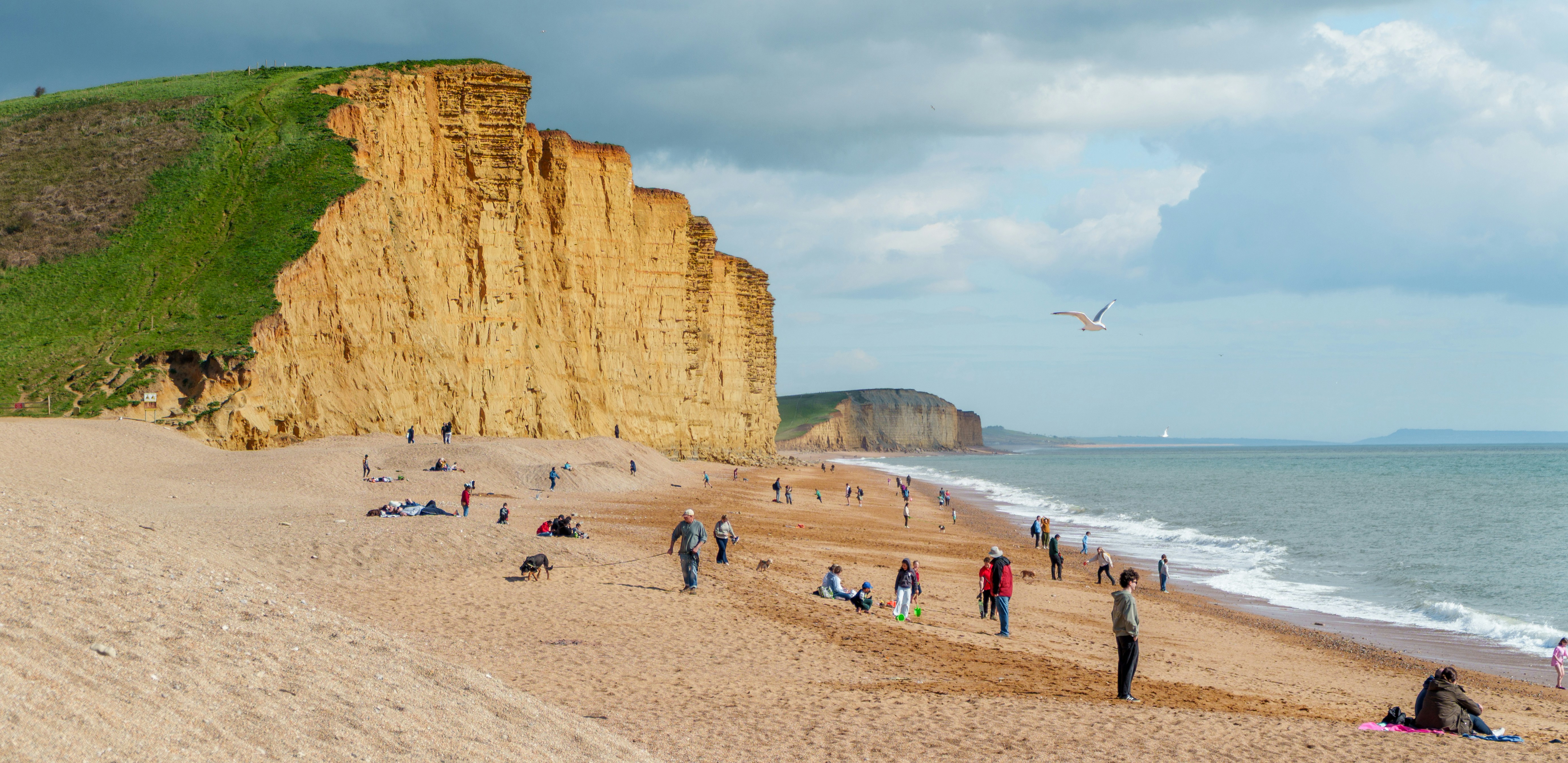 Golden Cliffs and People on the Calm Shore