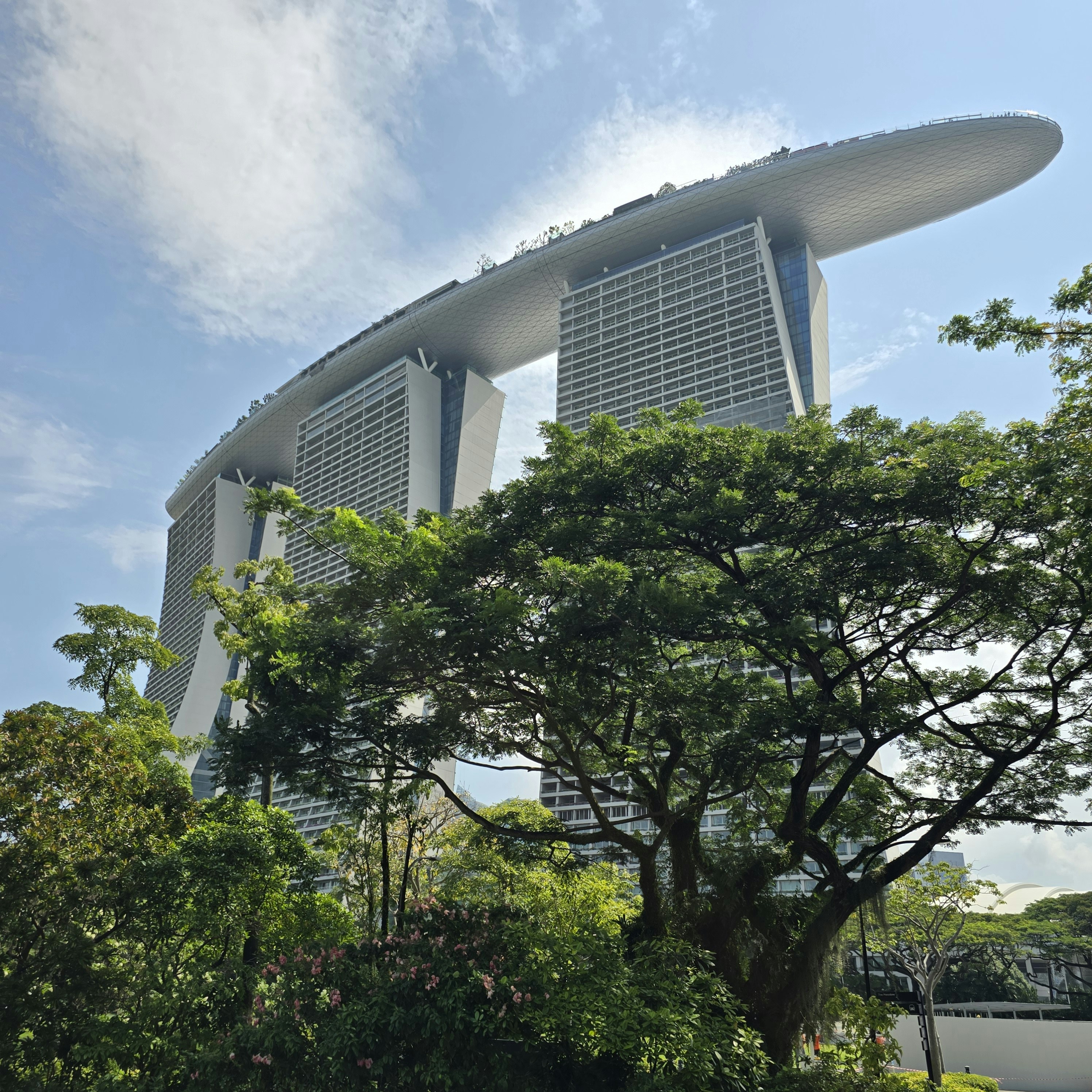 Whispers Above the Gardens: Marina Bay Sands Skyline