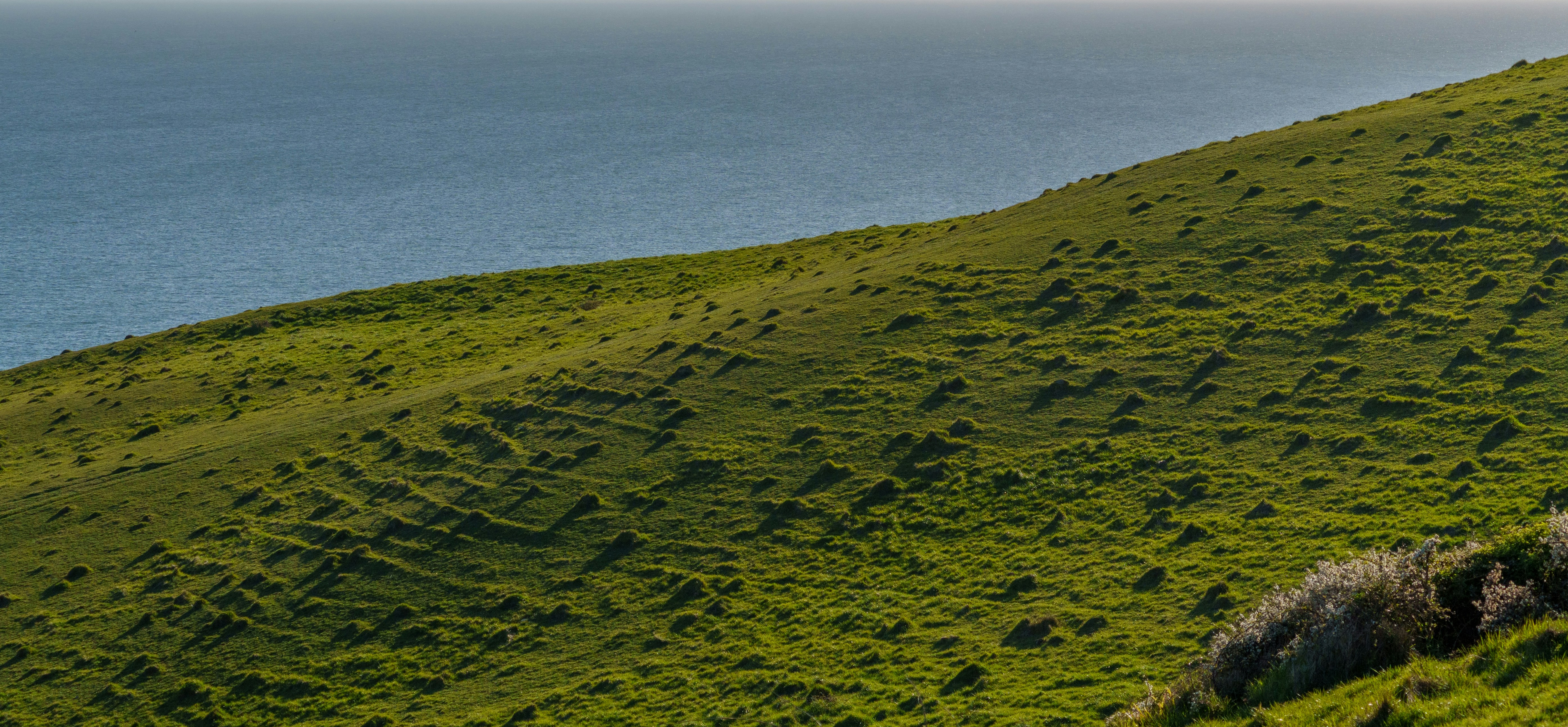 Coastal Slope Under a Quiet Sea