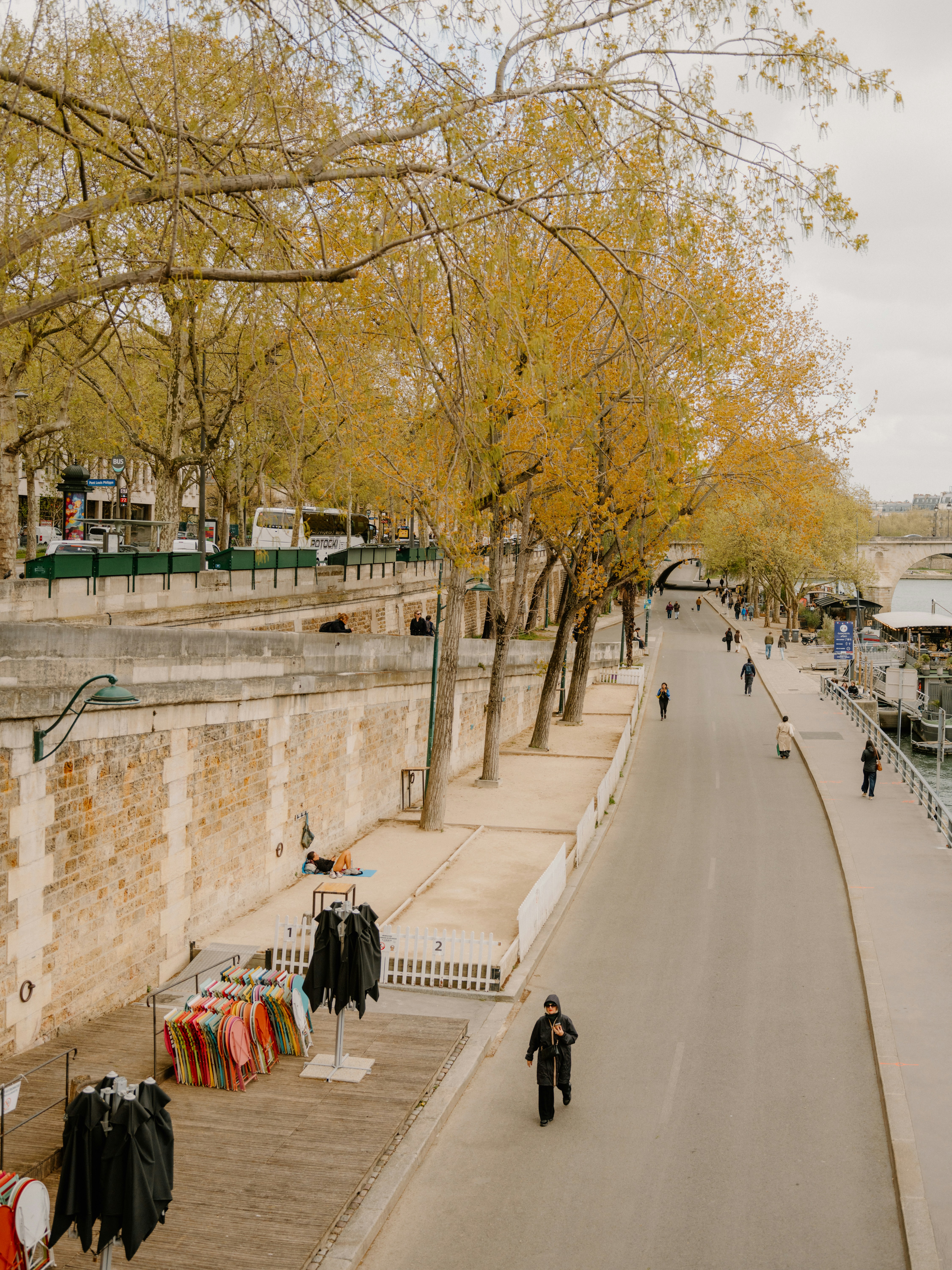 Autumn Riverwalk: Quiet Boulevard Beneath Golden Canopy