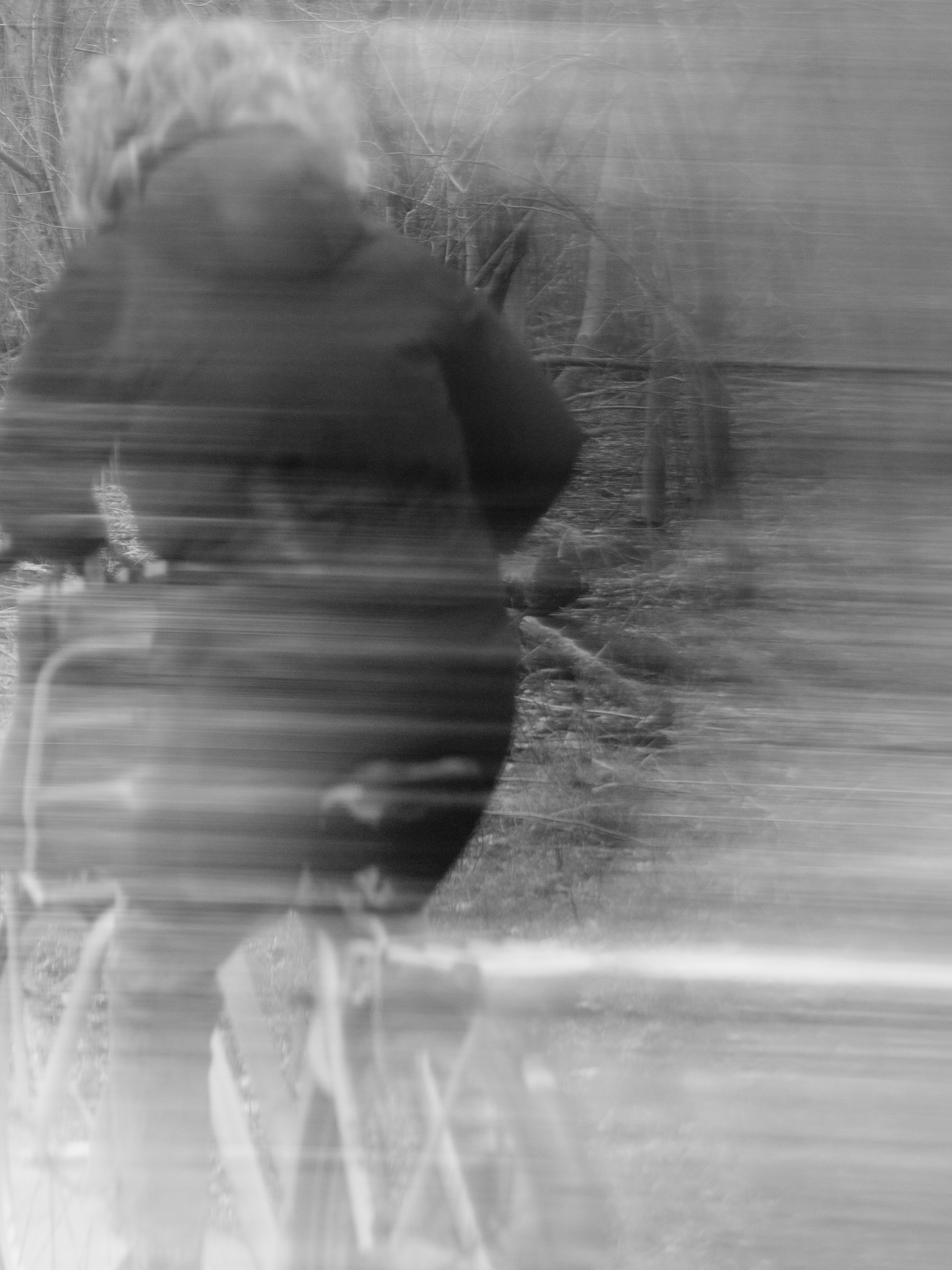 Blurred Shadow of a Rider: A Motion-Blur Portrait in a Forest