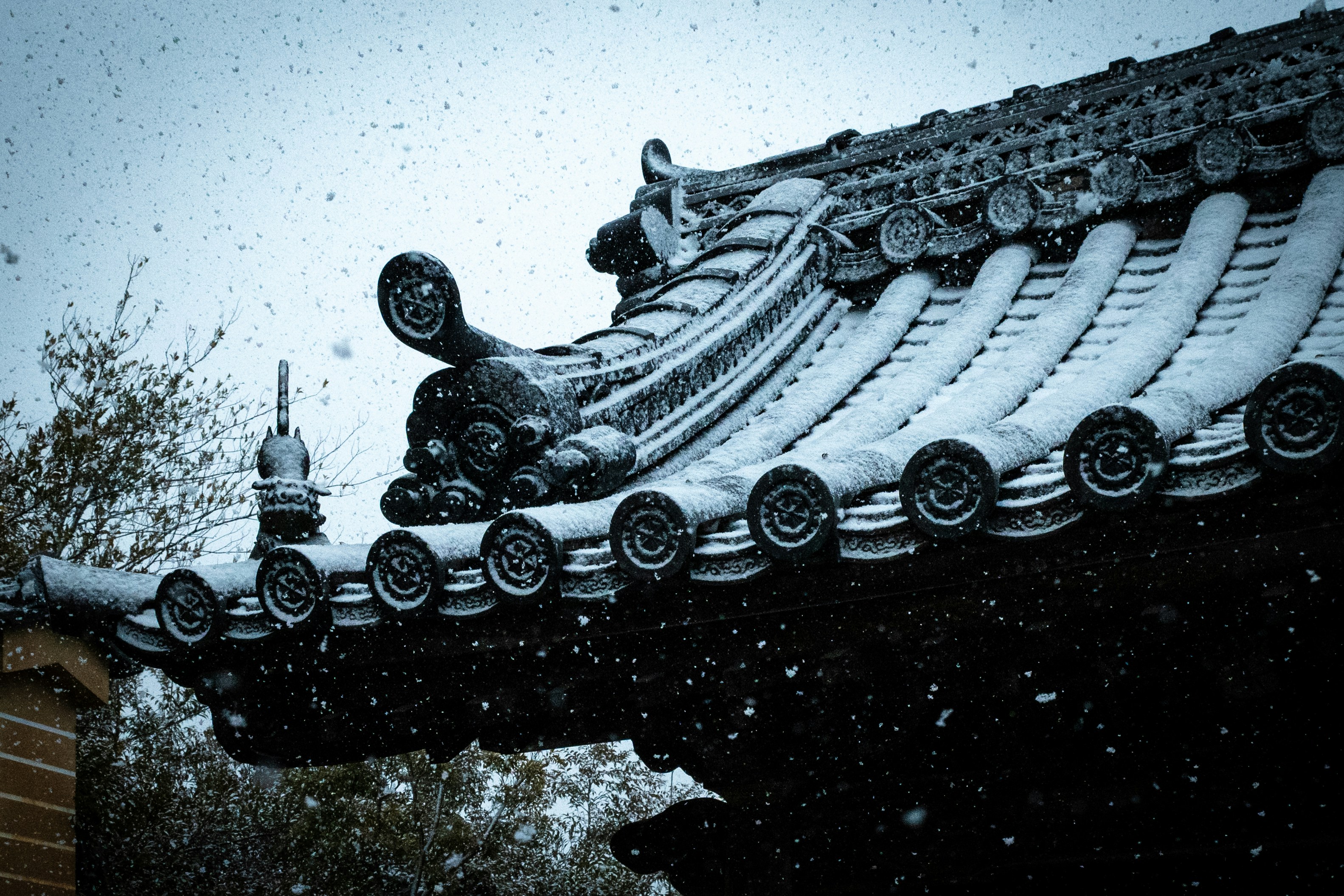 Snow-Capped Eaves: A Traditional Roof Under Winter Rain