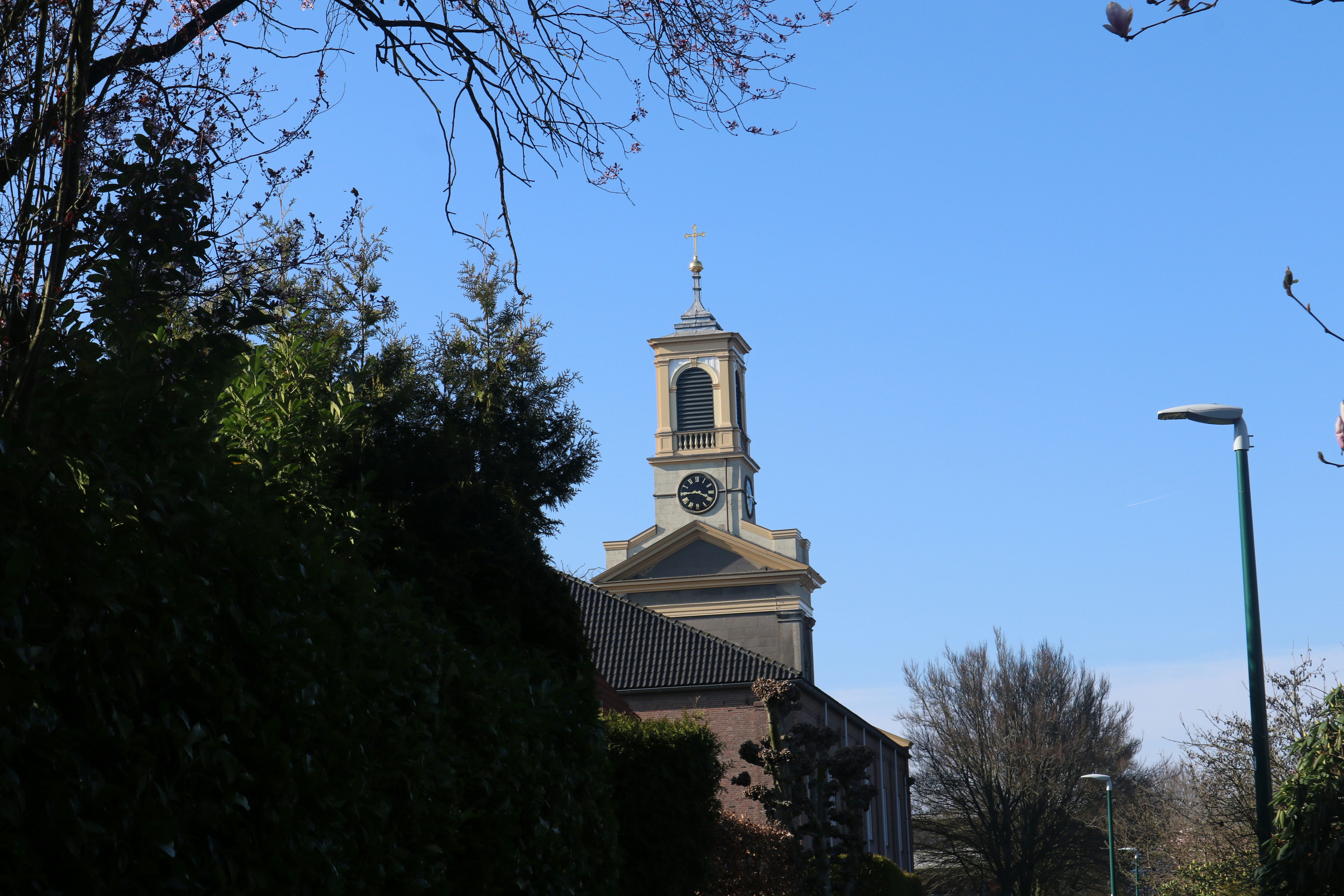 Towered Silence: A church steeple peeks above the hedges on a clear day