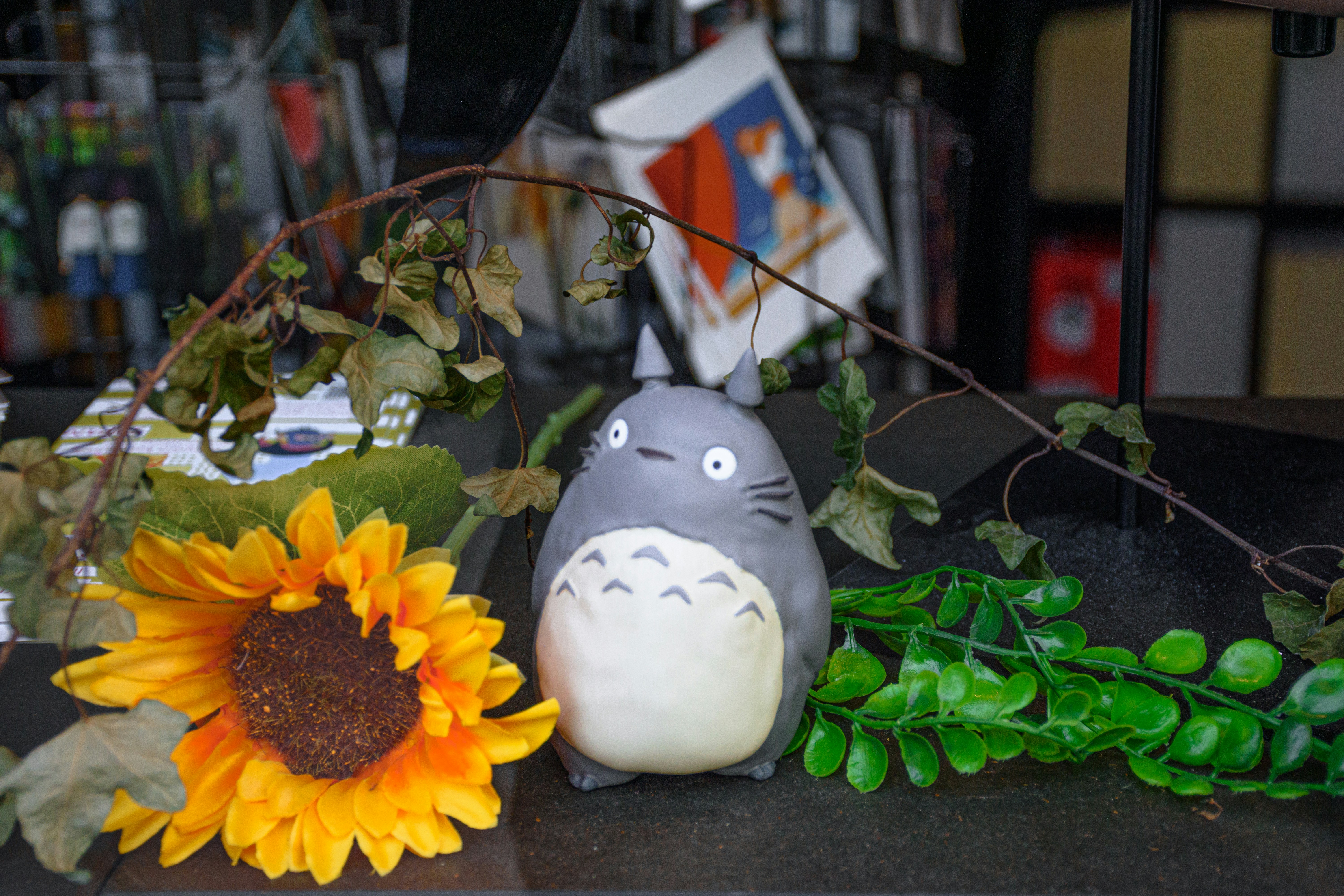 Totoro Keeps Watch Over a Sunny Sunflower