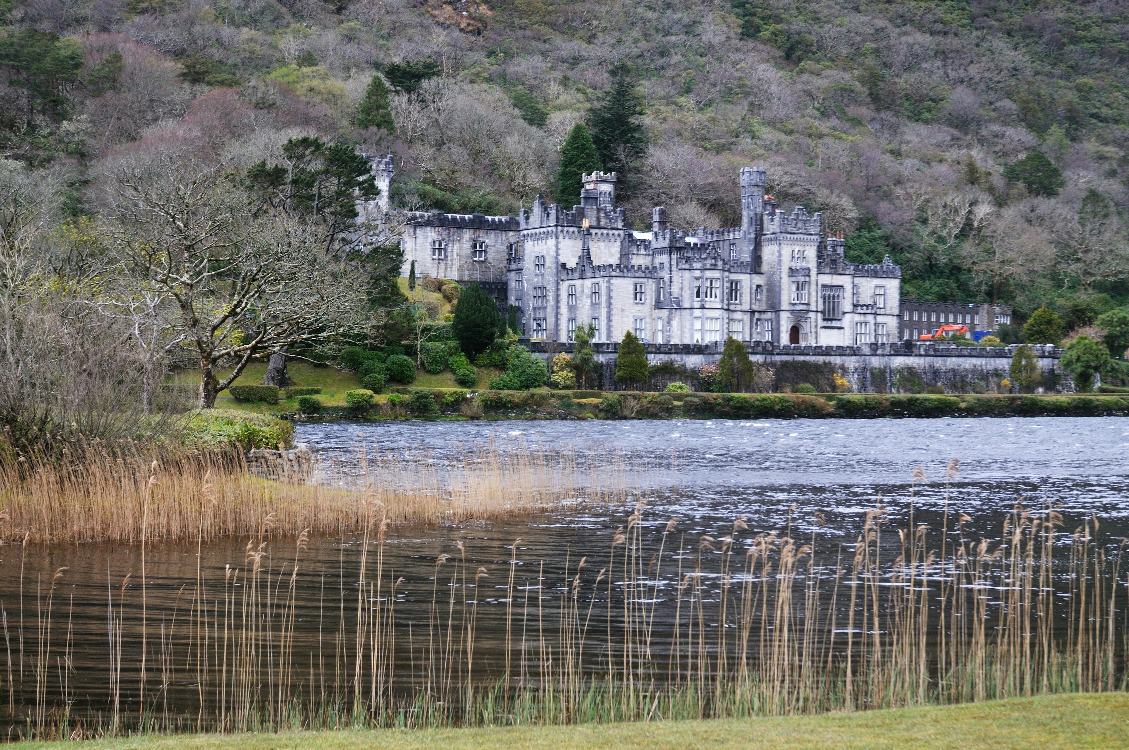 The Lakefront Manor: A Gothic Estate Beside Reedy Banks