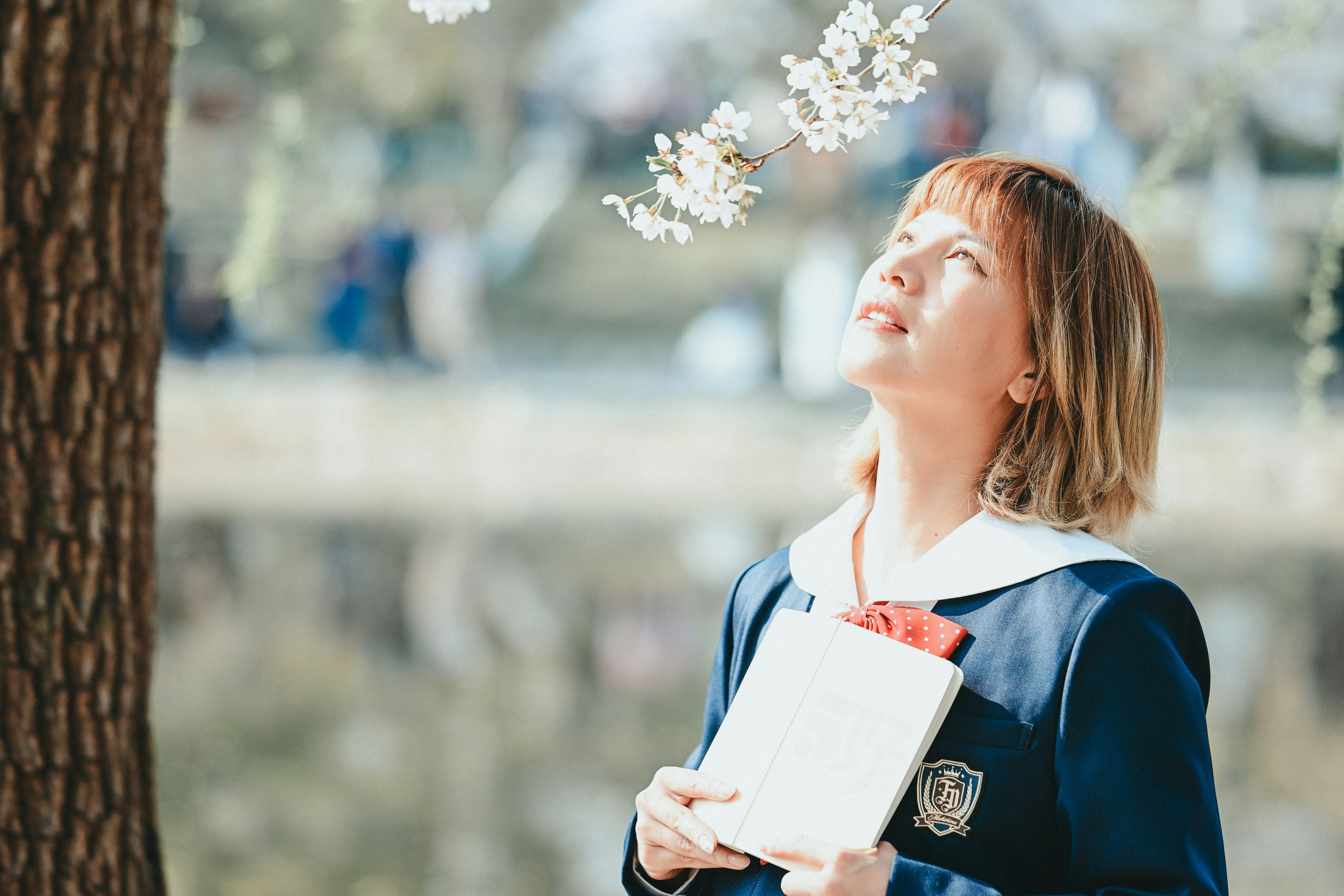 Blooming Curiosity: A Quiet Moment Under Spring Blossoms