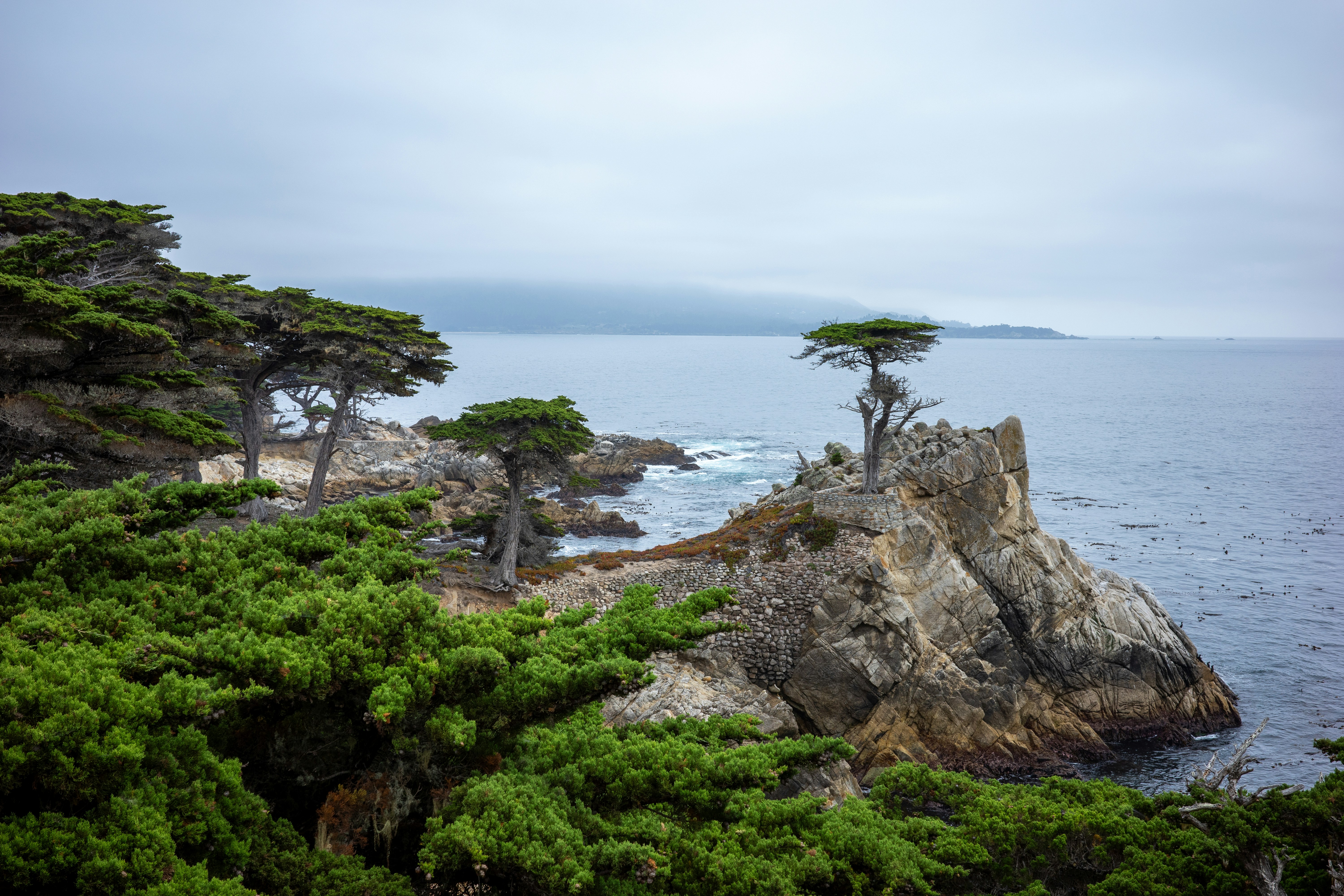 Timber-topped Sea Cliff: A Quiet Outlook Over Rugged Rocks
