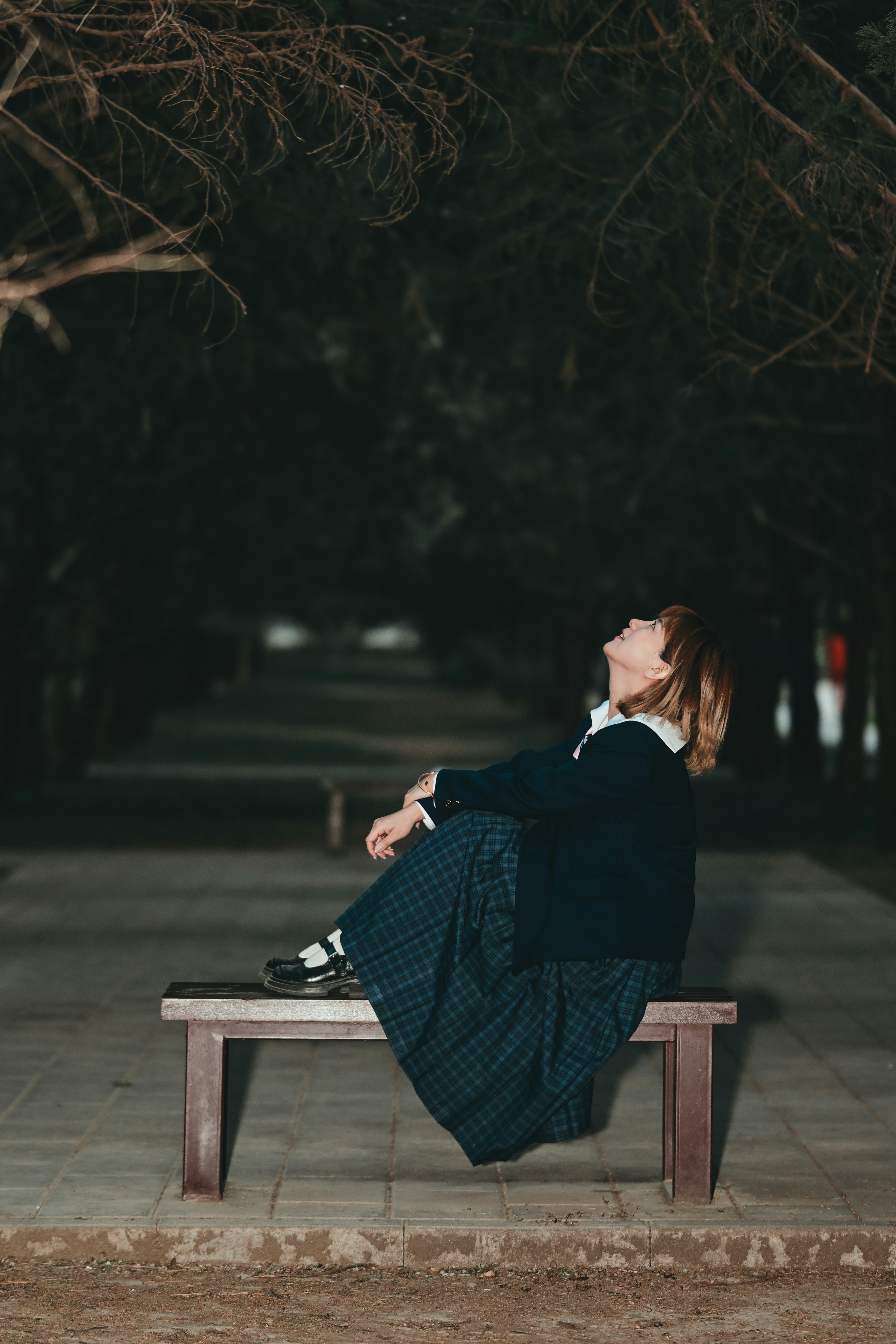 Overlooking Quiet Evening: A Woman Resting on a Benchtop