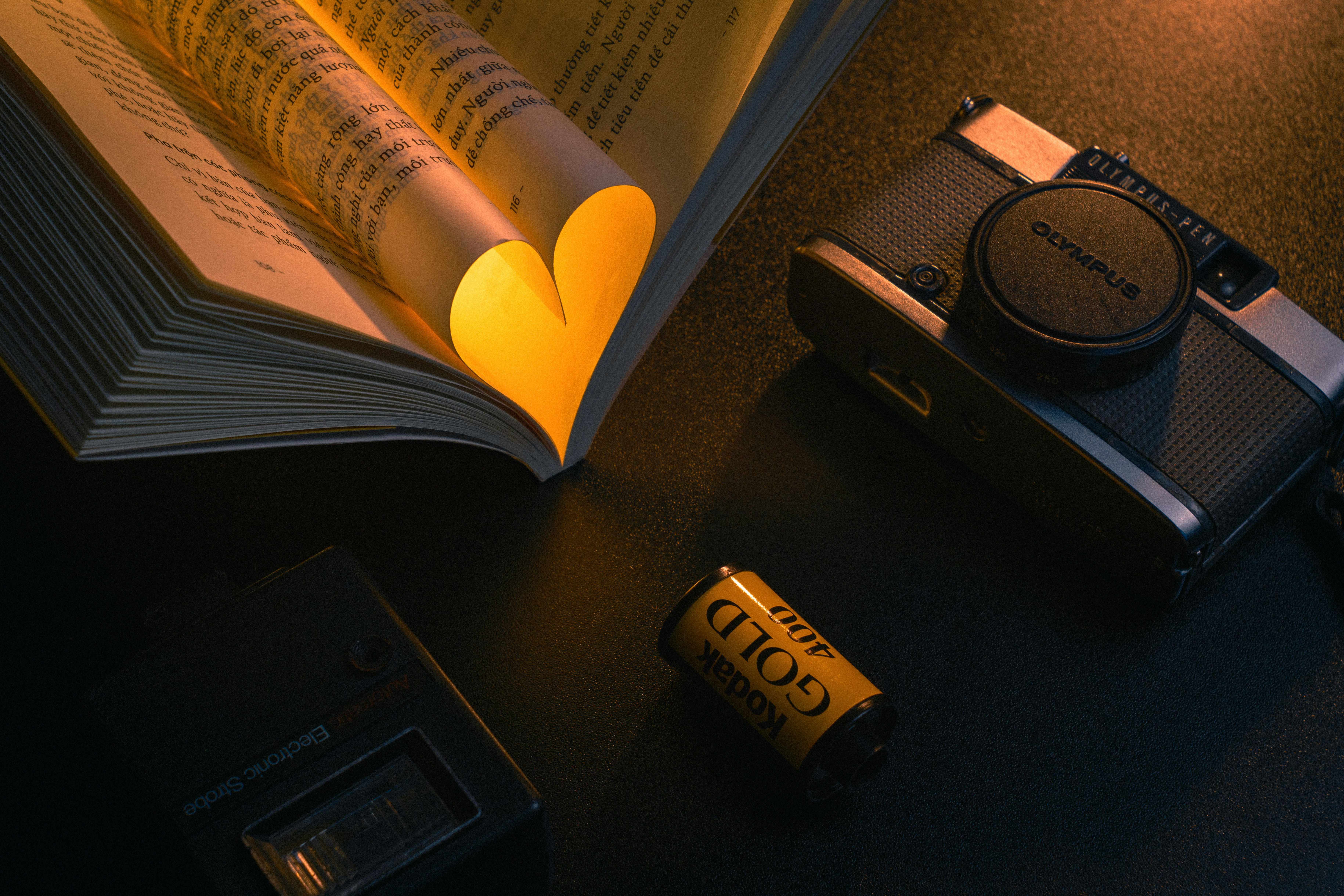 A Quiet Studio Moment: Heartfelt Light on Film and Focus