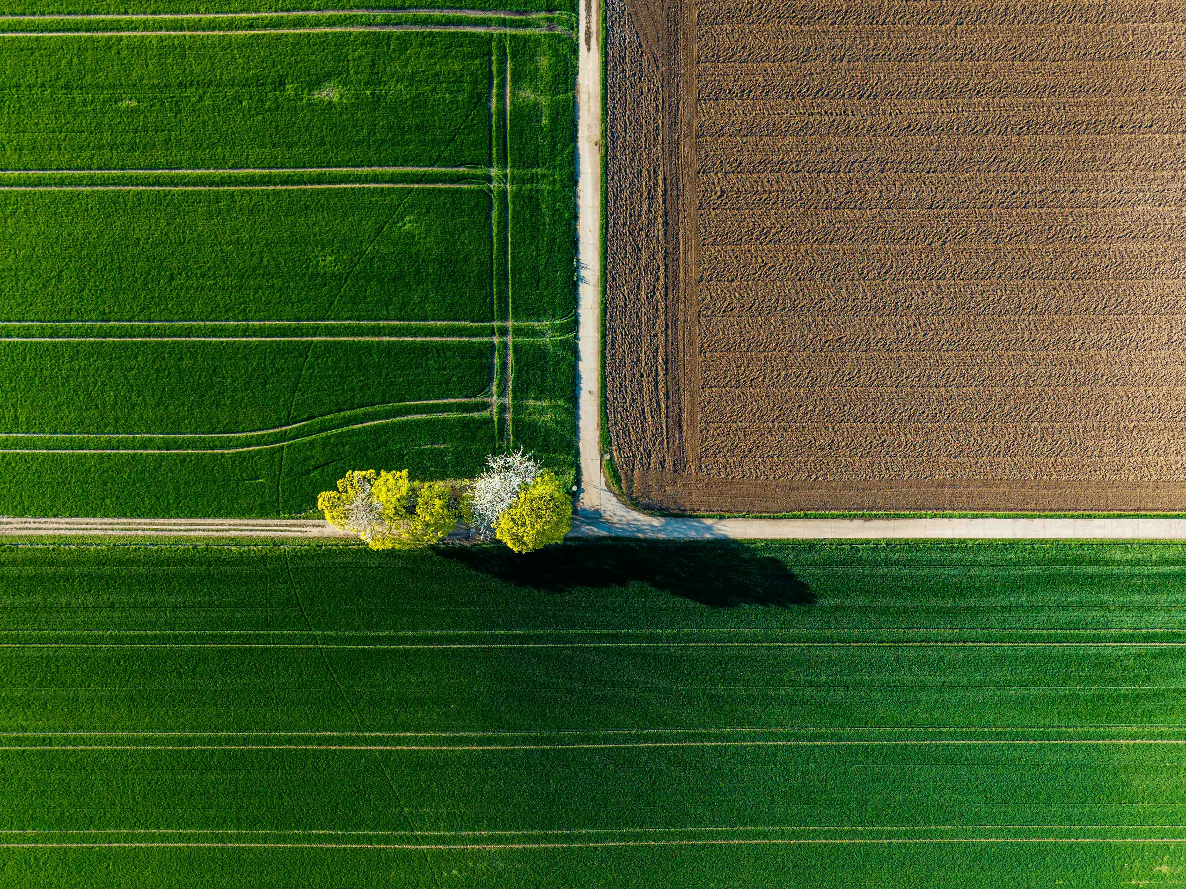 Aerial view of green fields and brown soil with trees photo – Free ...