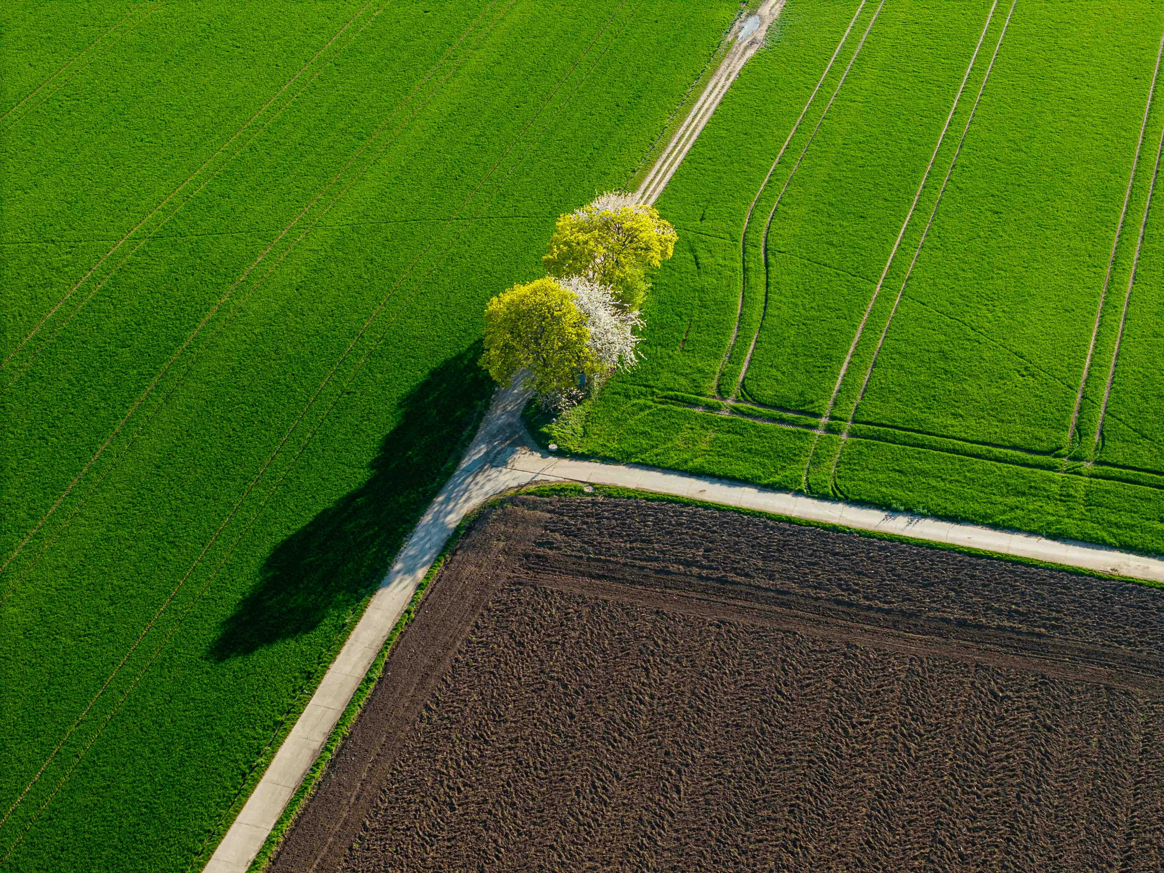 Crossroads of Green and Plowed Earth