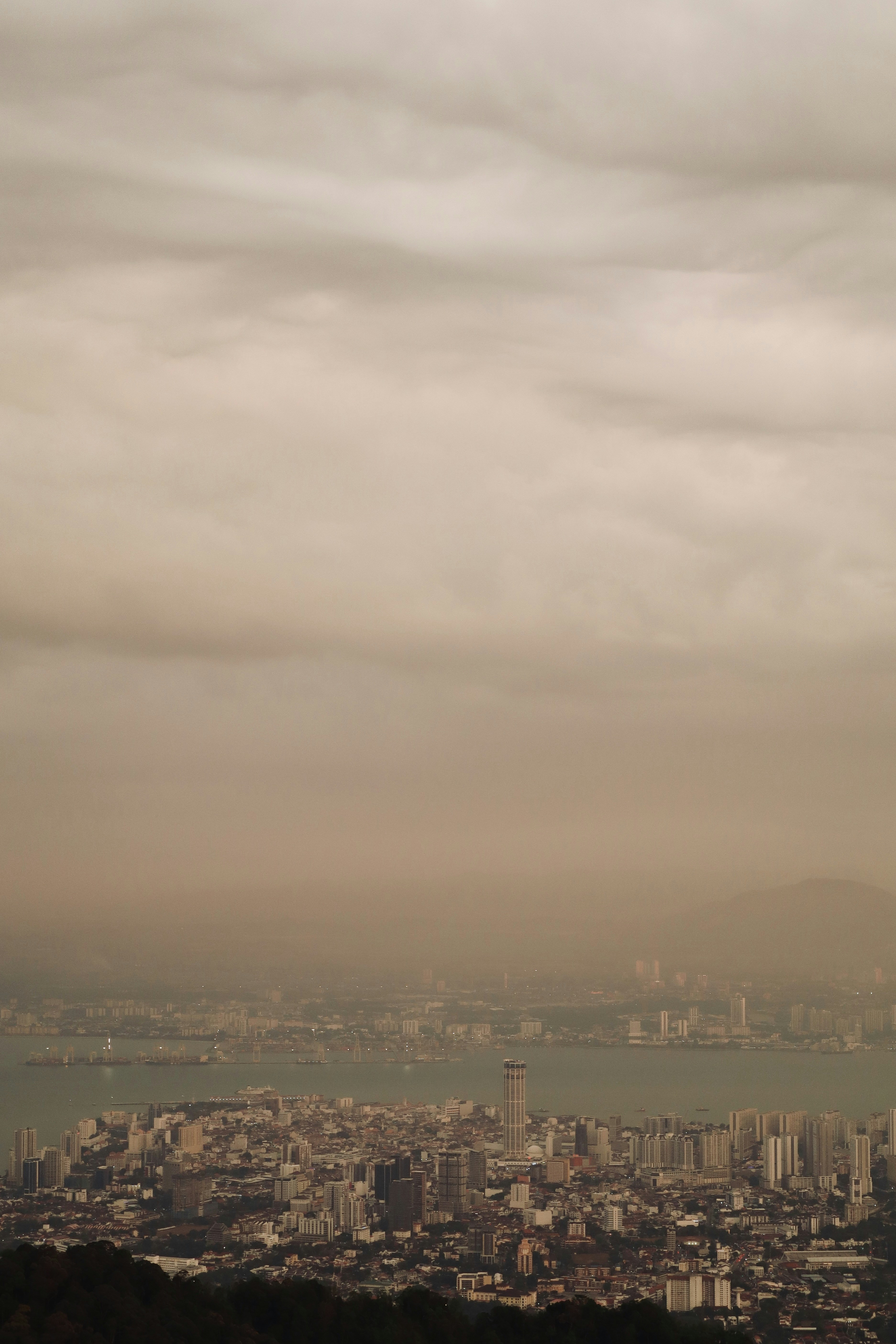 City by the Mist: A Coastal Megalopolis Beneath Hazy Skies