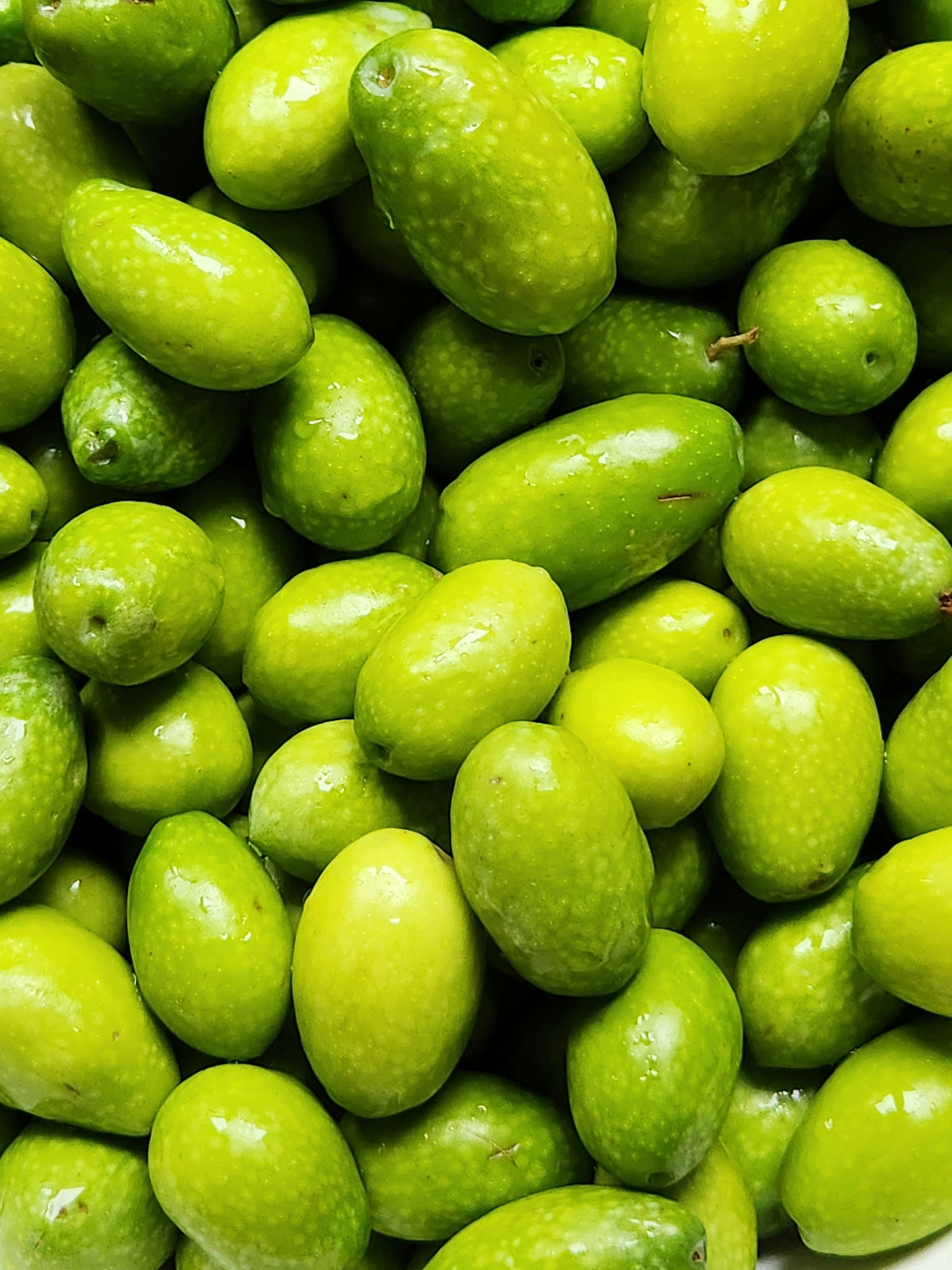 Emerald Harvest: A Sea of Lush Green Olives