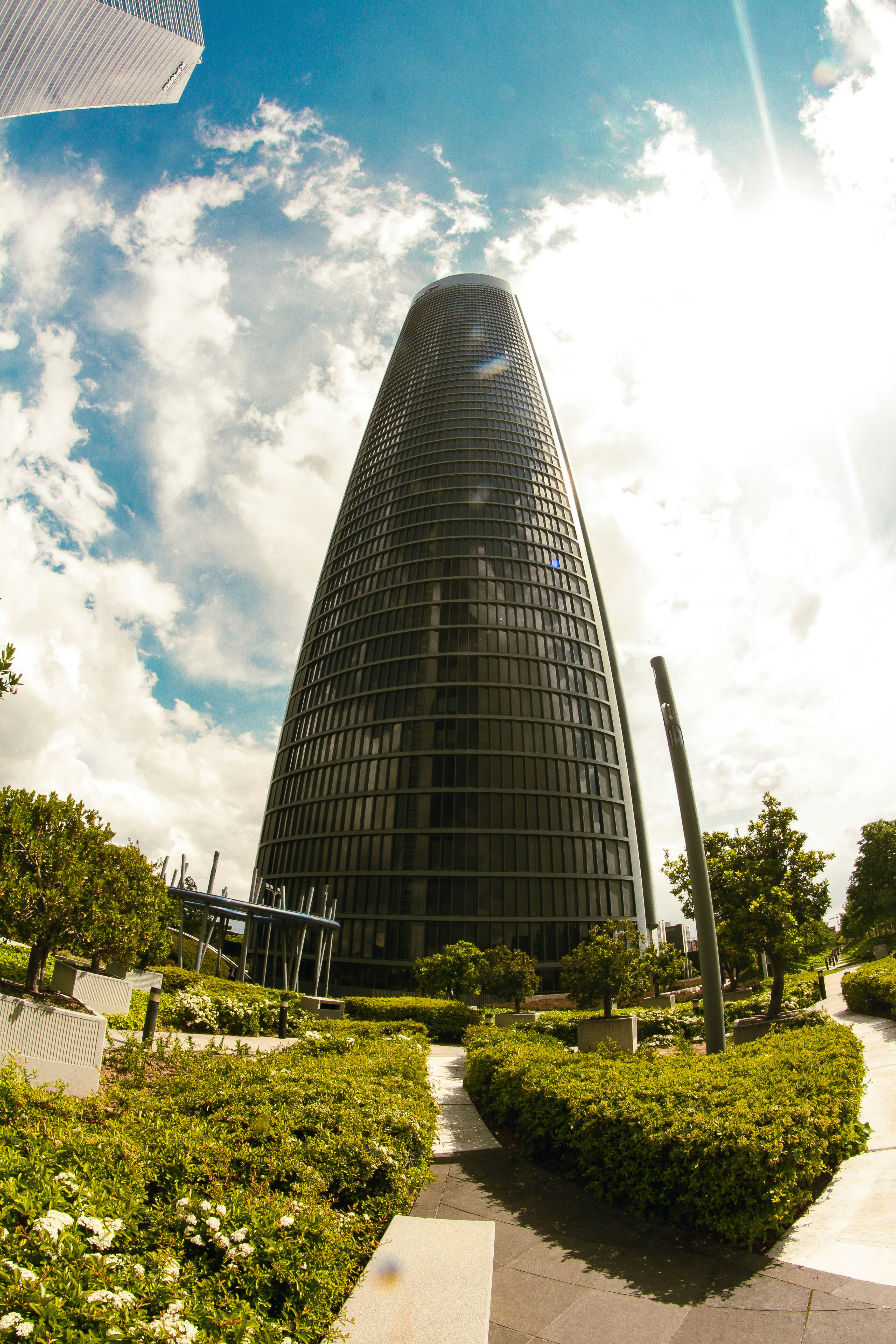 Towering Curve: Urban Ribbon in the Sky