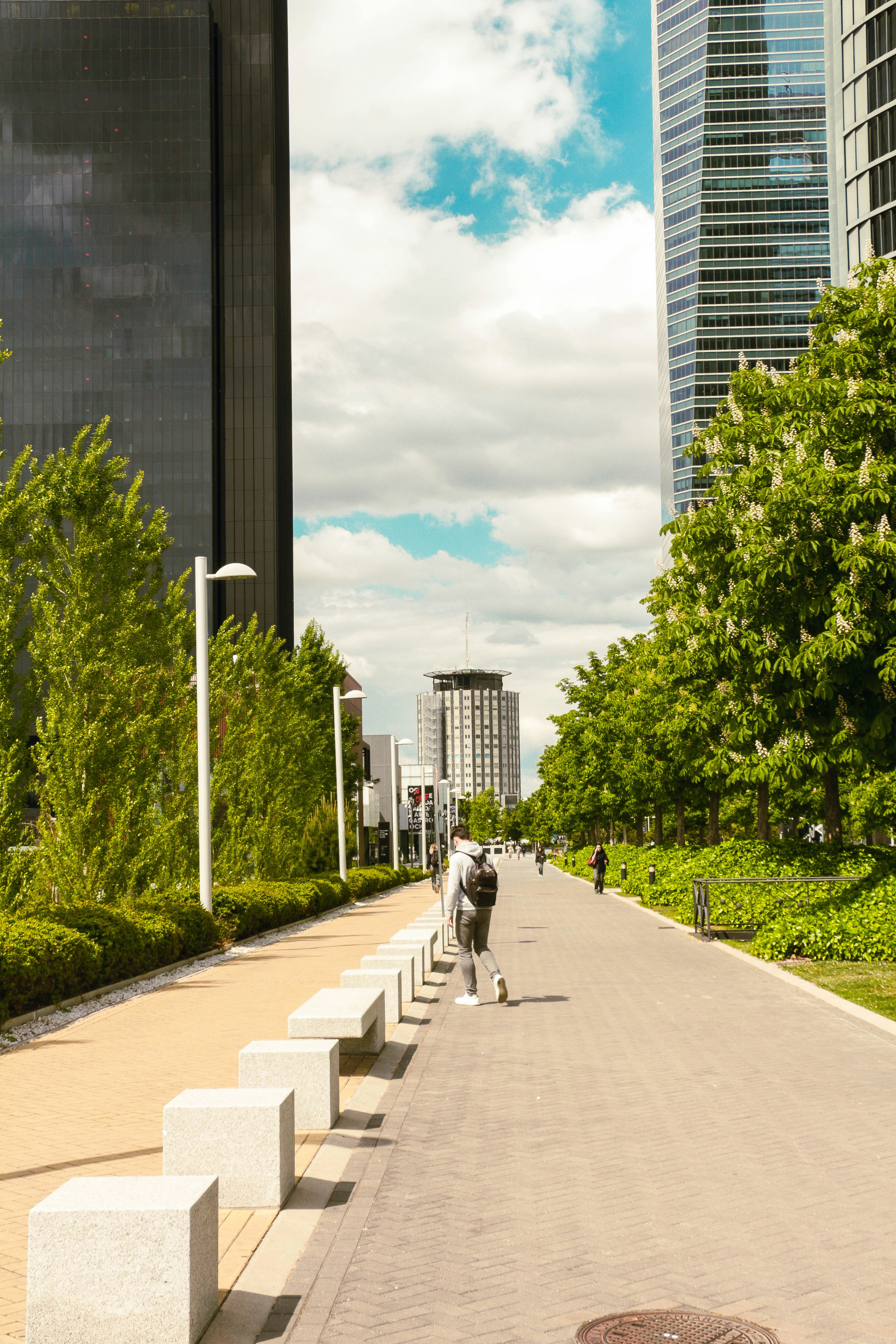 Urban Walkway: A figure strides through a sunlit avenue lined with trees and modern towers