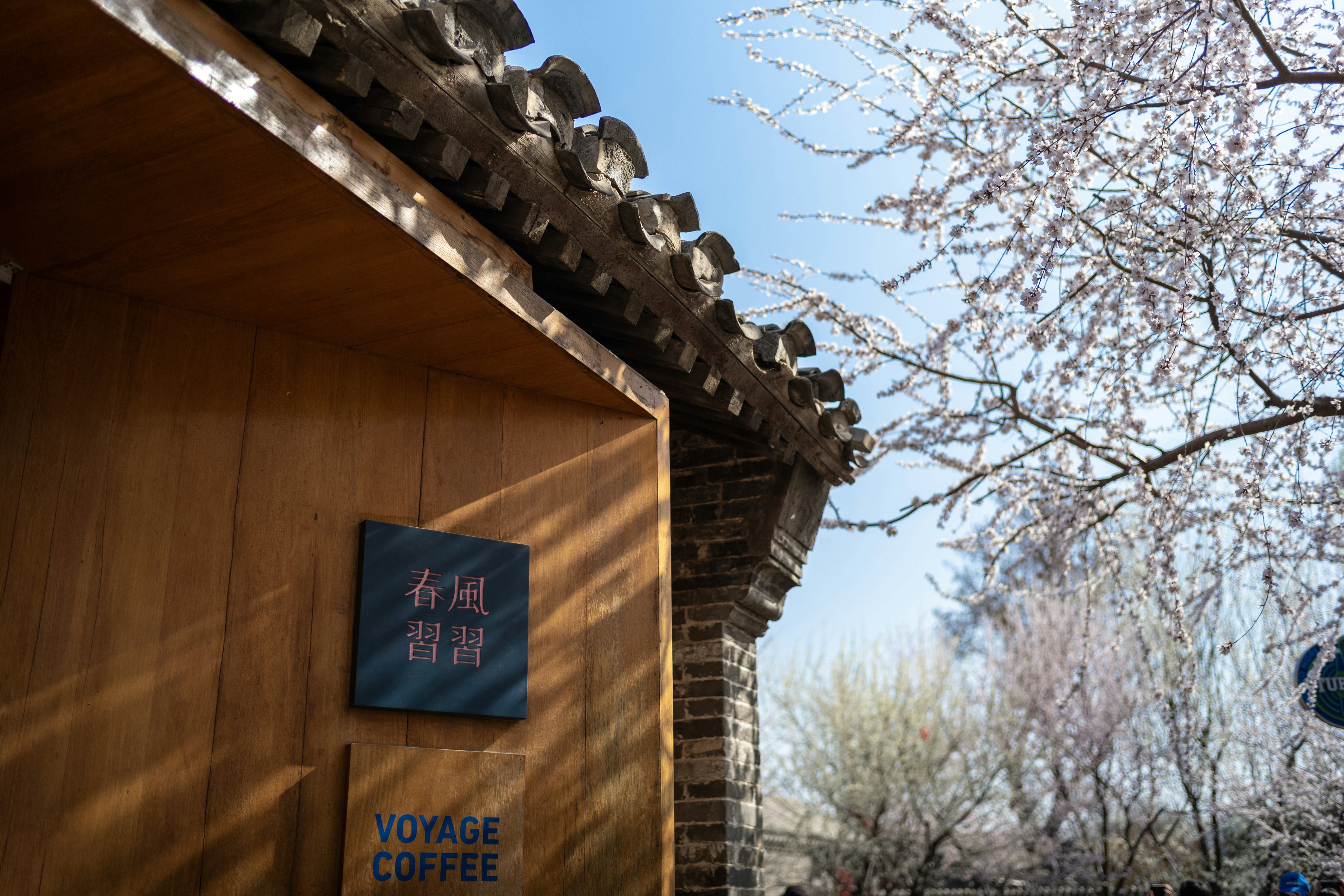 Sunlit Orange Doorway and Blossoms at a Traditional Courtyard